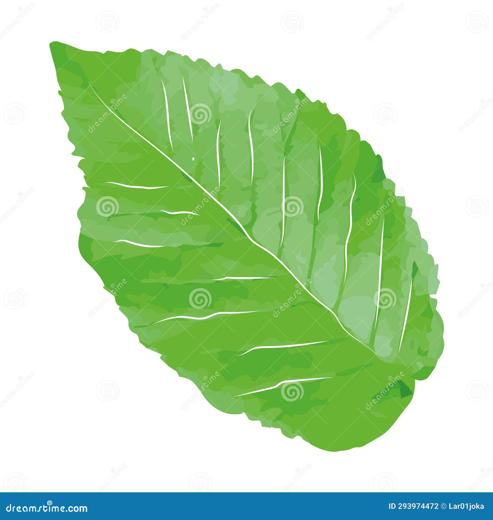 Isolated Detailed Colored Leaf Vector Stock Vector - Illustration of ...
