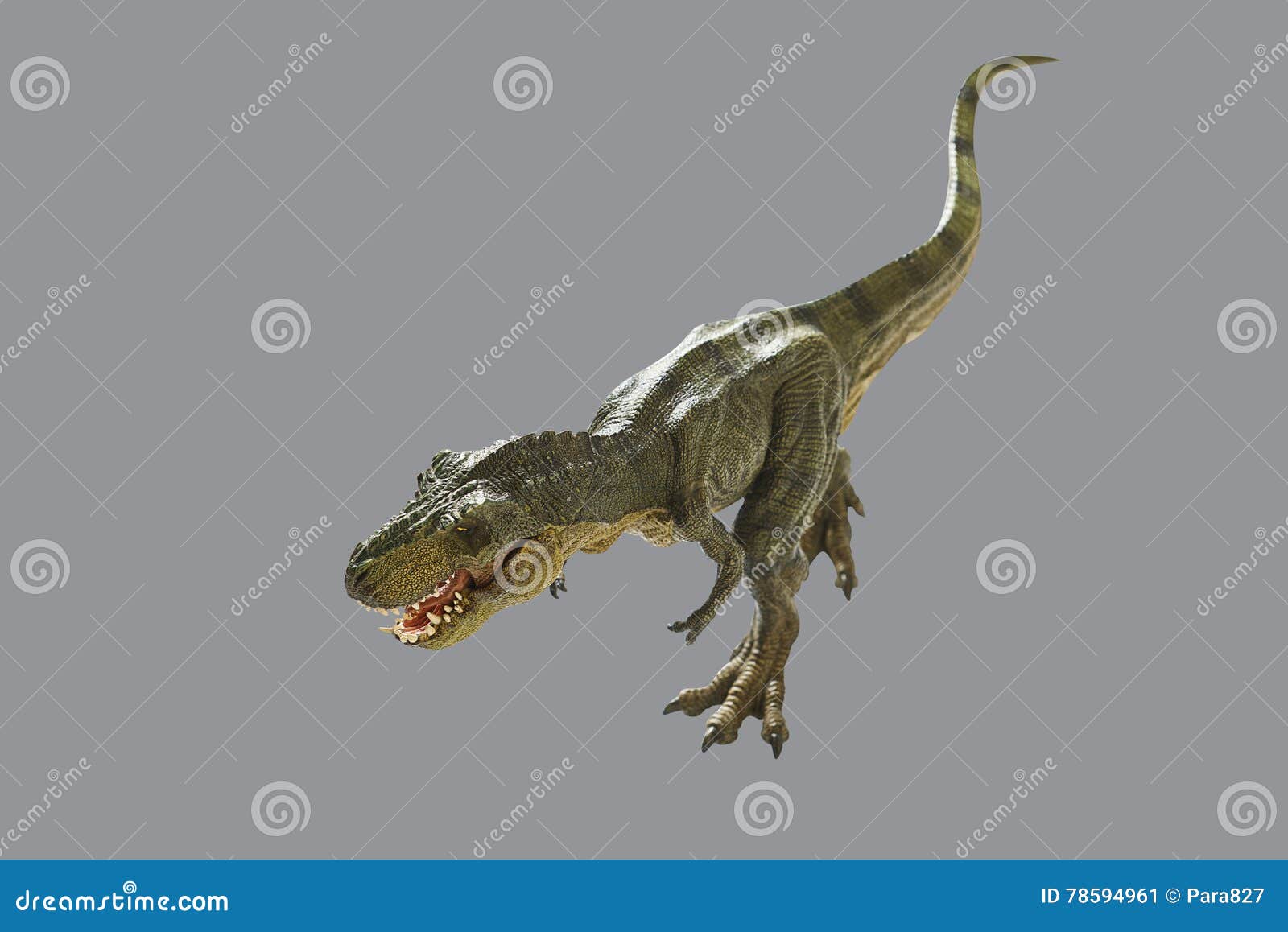 Isolated dinosaur stock image. Image of dangerous, escape - 78594961