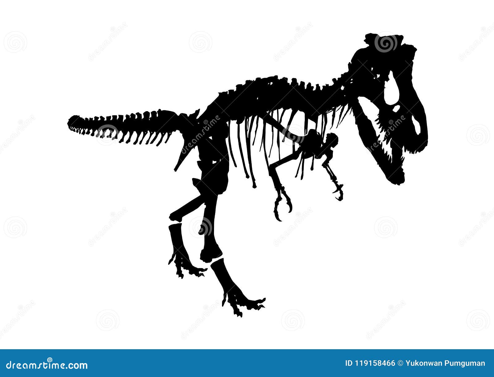 Isolated Dinosaur Skeleton Fossil, Vector Illustration on White Stock ... Isolated Dinosaur Skeleton Fossil, Vector Illustration on White Stock ...