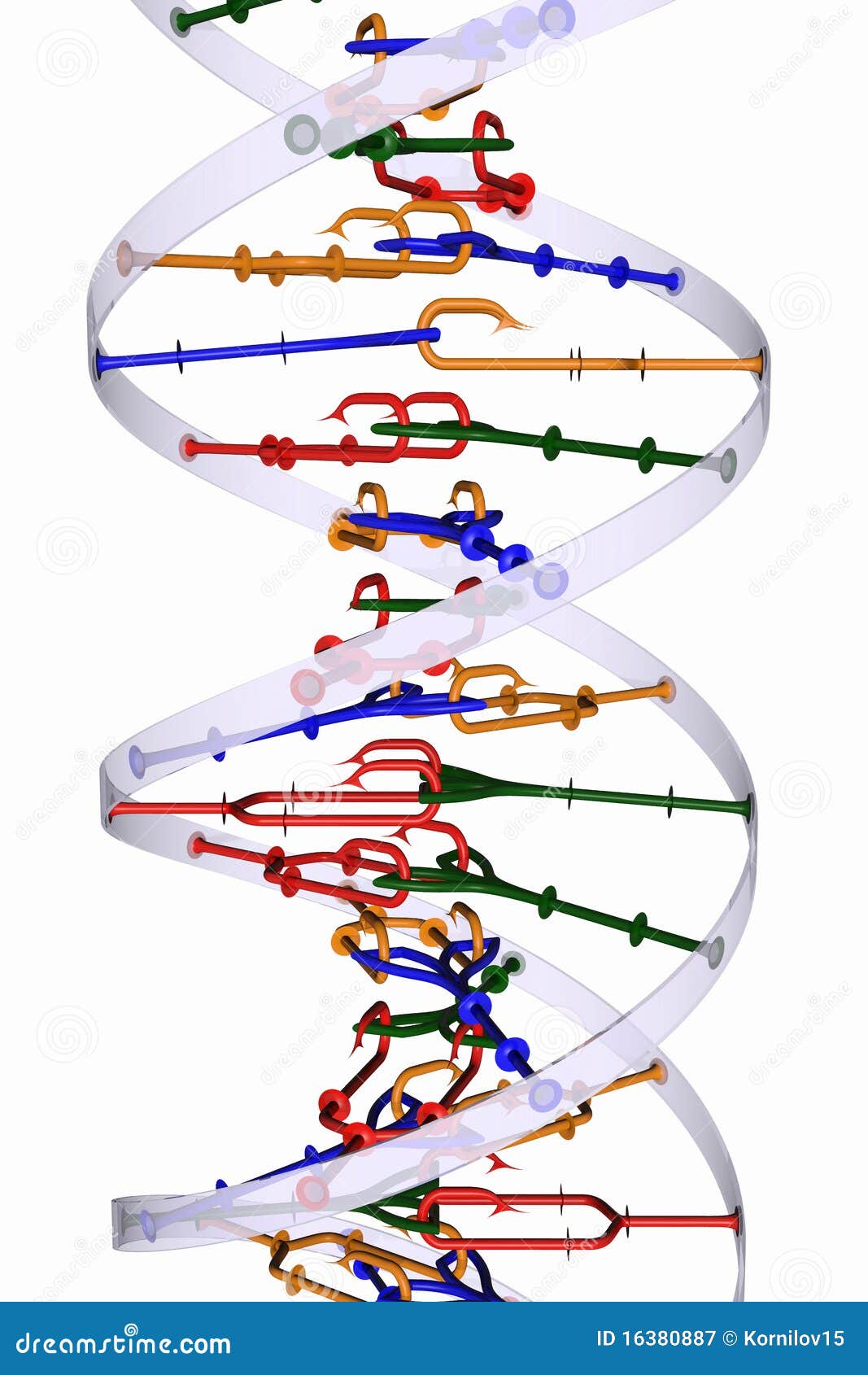 Isolated DNA helix stock illustration. Illustration of helix - 16380887