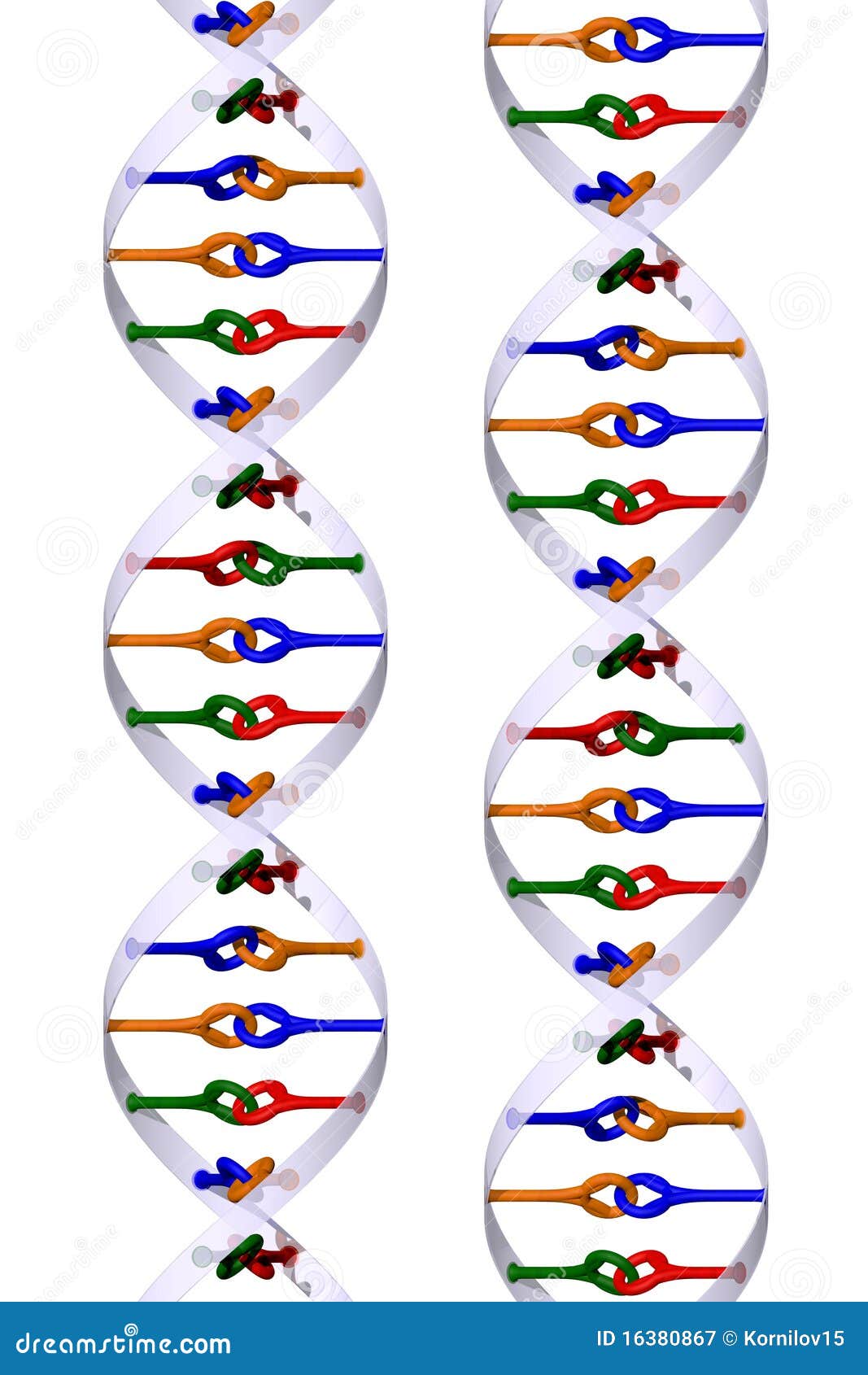 Isolated DNA helixes stock illustration. Illustration of base - 16380867