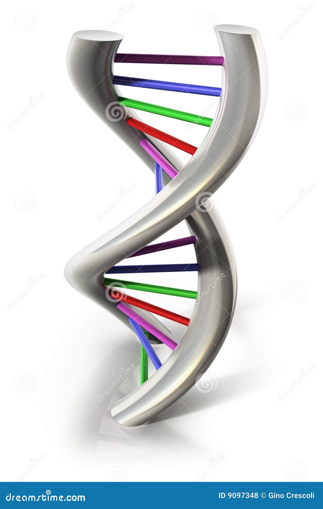 Isolated DNA segment stock illustration. Illustration of science - 9097348 Isolated DNA segment stock illustration. Illustration of science - 9097348