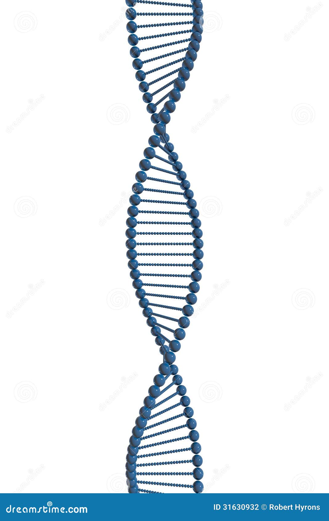 Isolated DNA stock photo. Image of chemistry, gray, twisted - 31630932