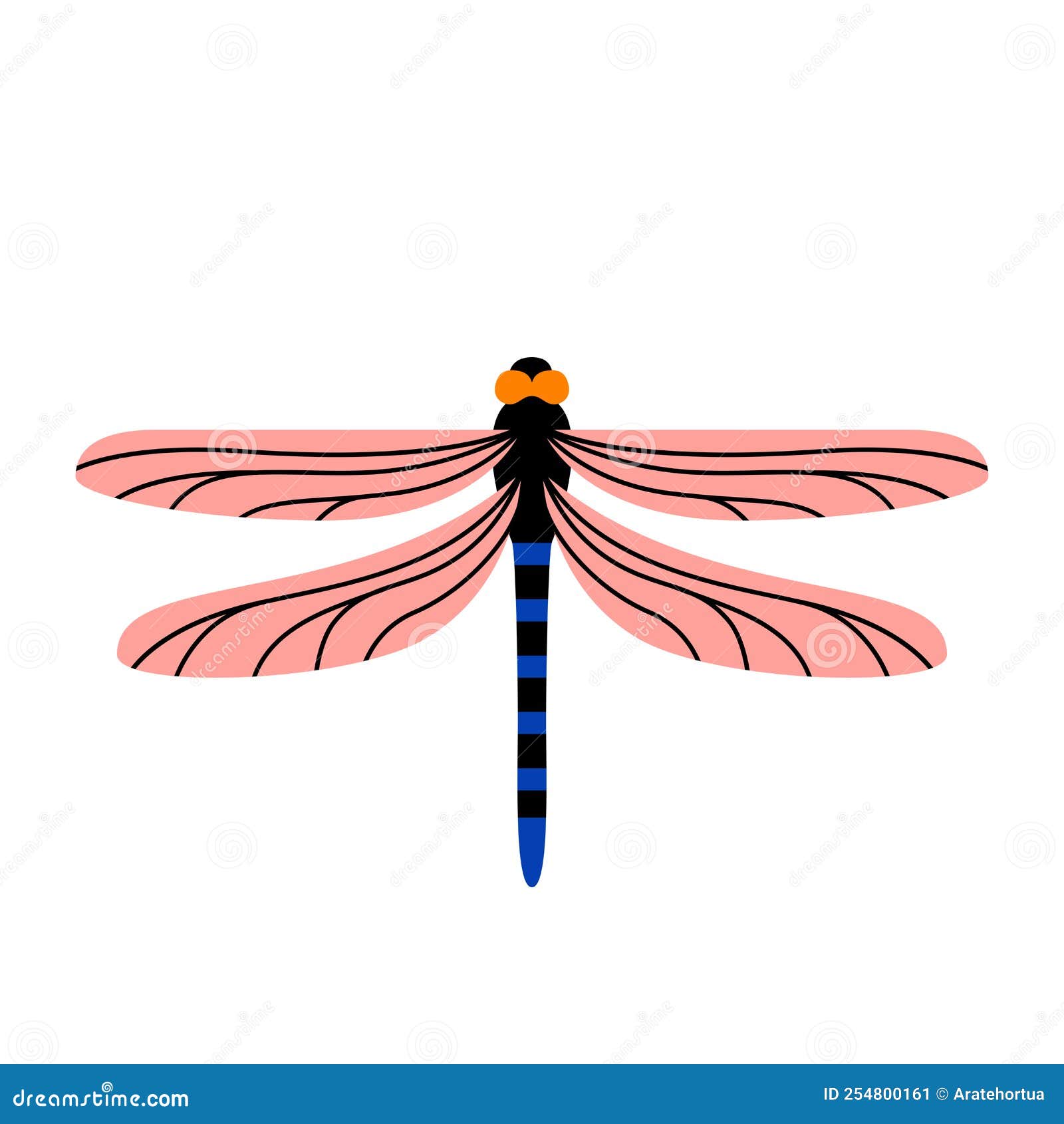 Isolated Dragonfly Summer Insect Animal Vector Stock Vector ...