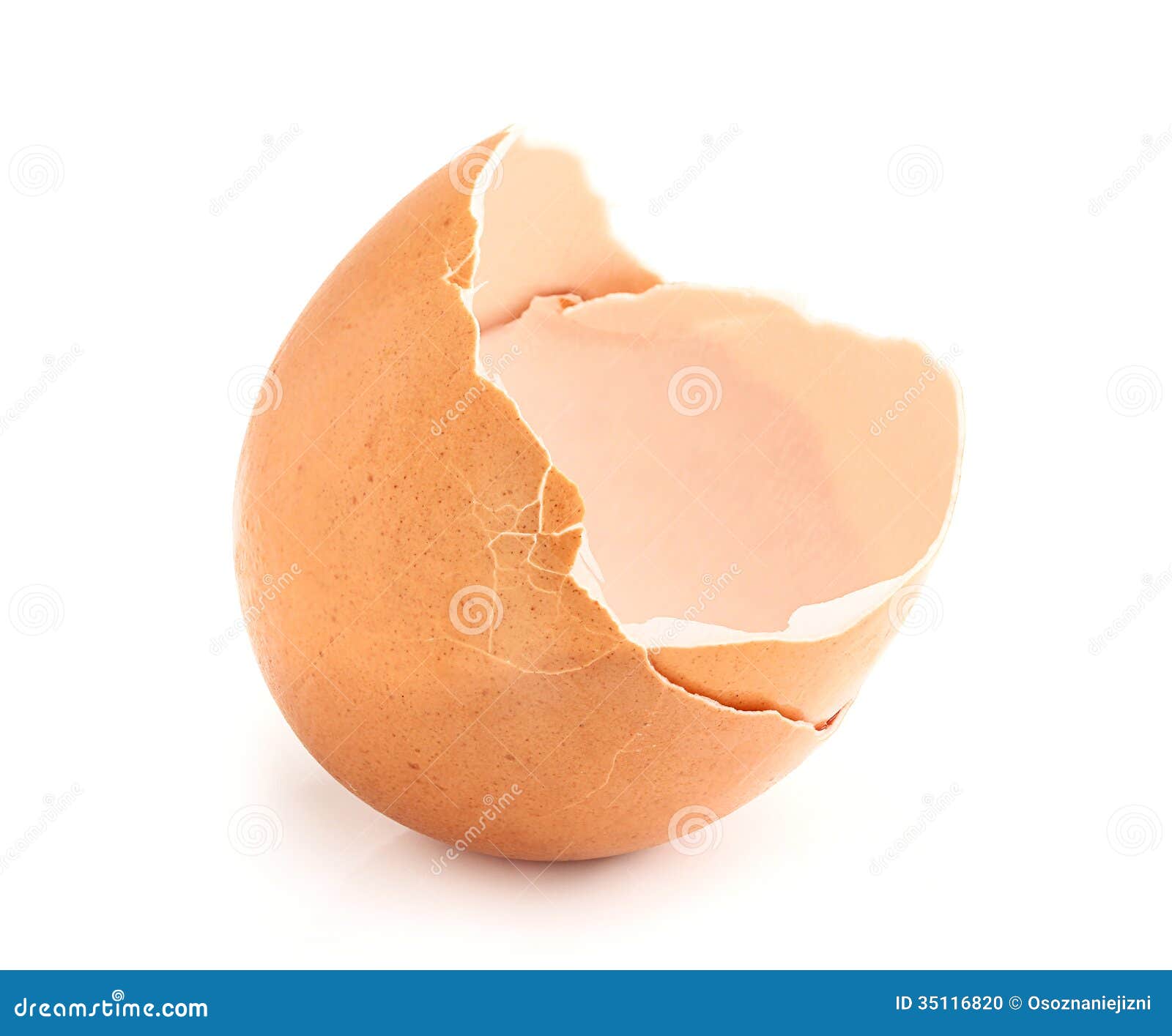 Isolated Egg Shells Close-up. Stock Photo - Image of objects, copy ...