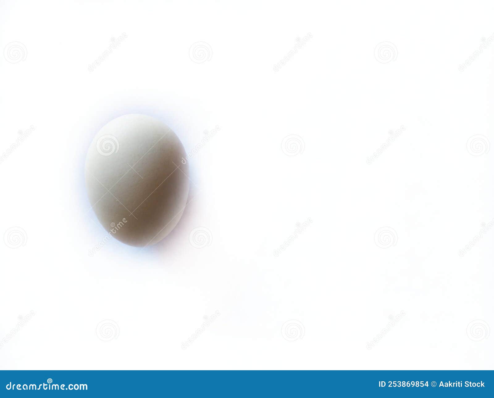 Isolated Egg on White Background Stock Photo - Image of protein, shell ...