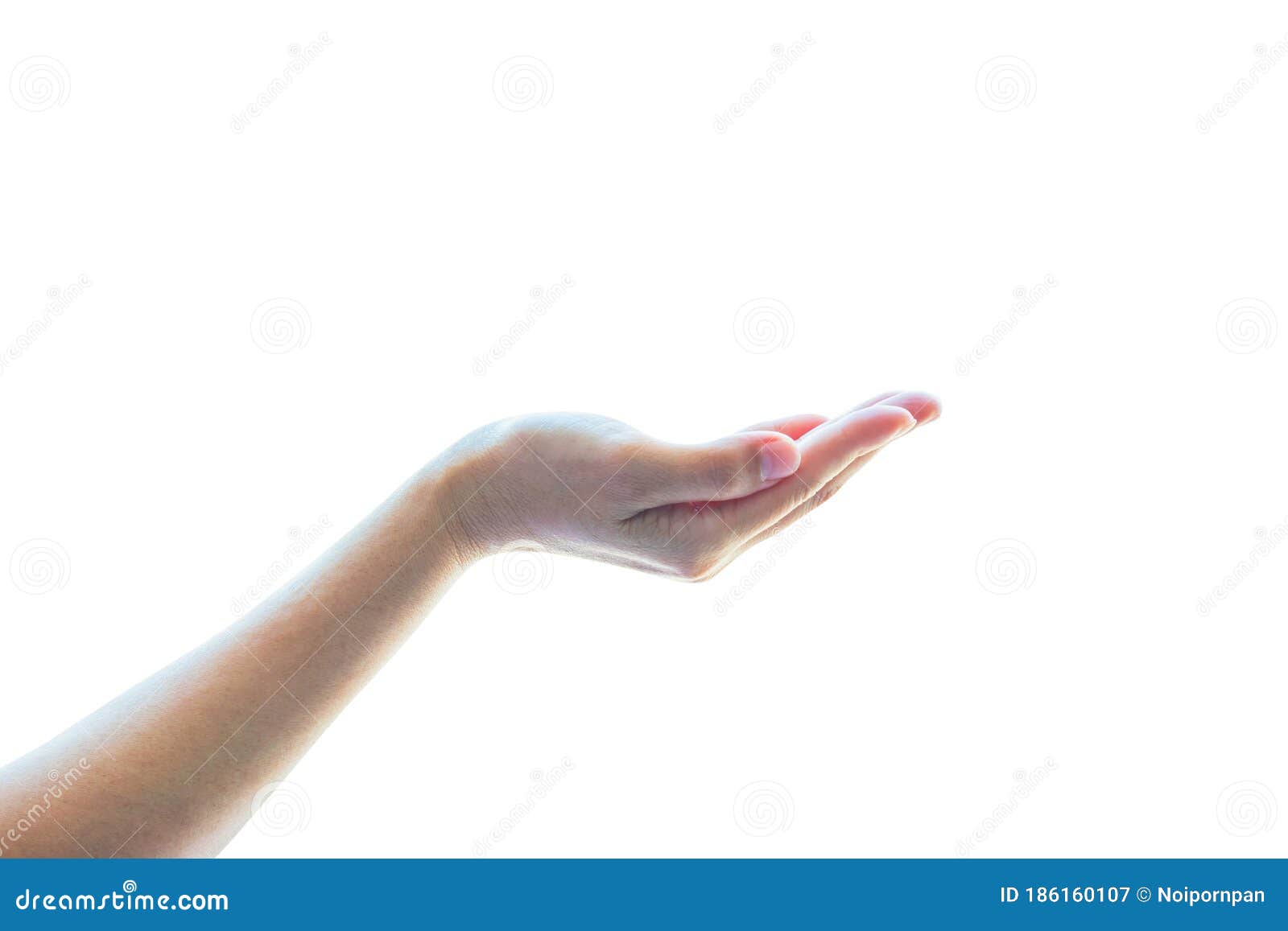 Isolated Empty Open Human Hands with Palm Raised Upward in Holding ...
