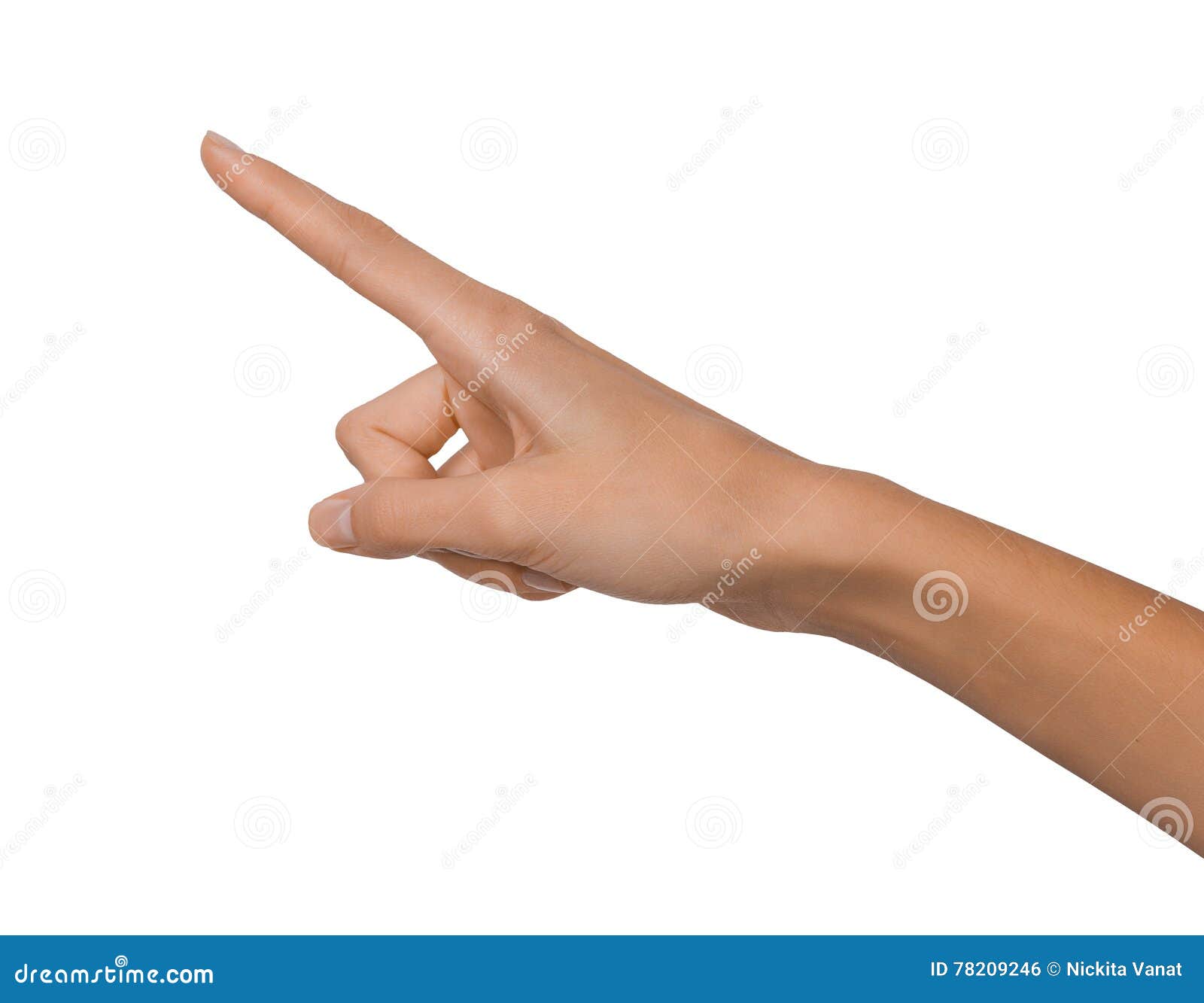 Isolated Empty Open Woman Female Hand in a Pointing Position on a White ...