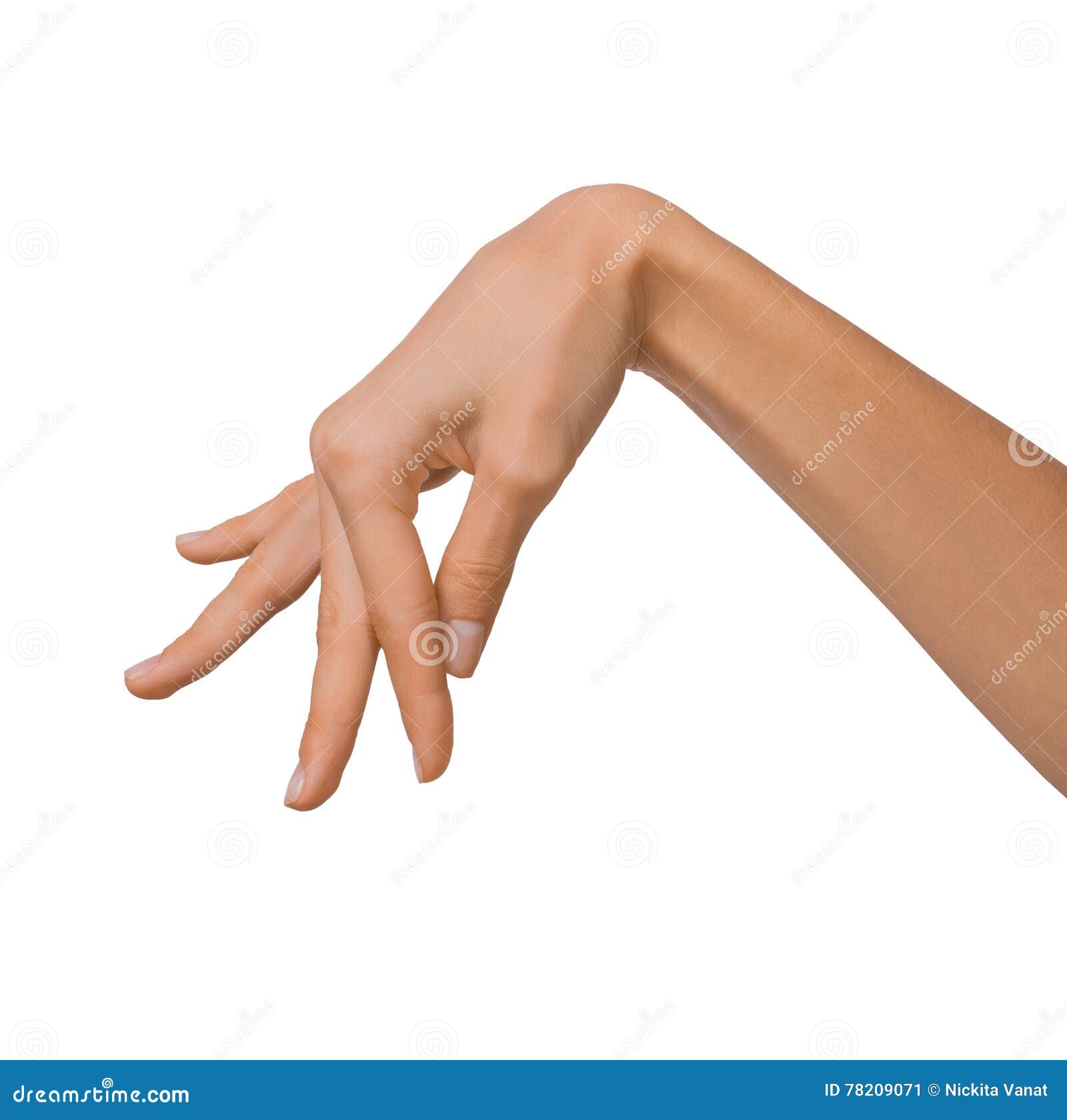 Isolated Empty Open Woman Female Hand in a Position on a White ...