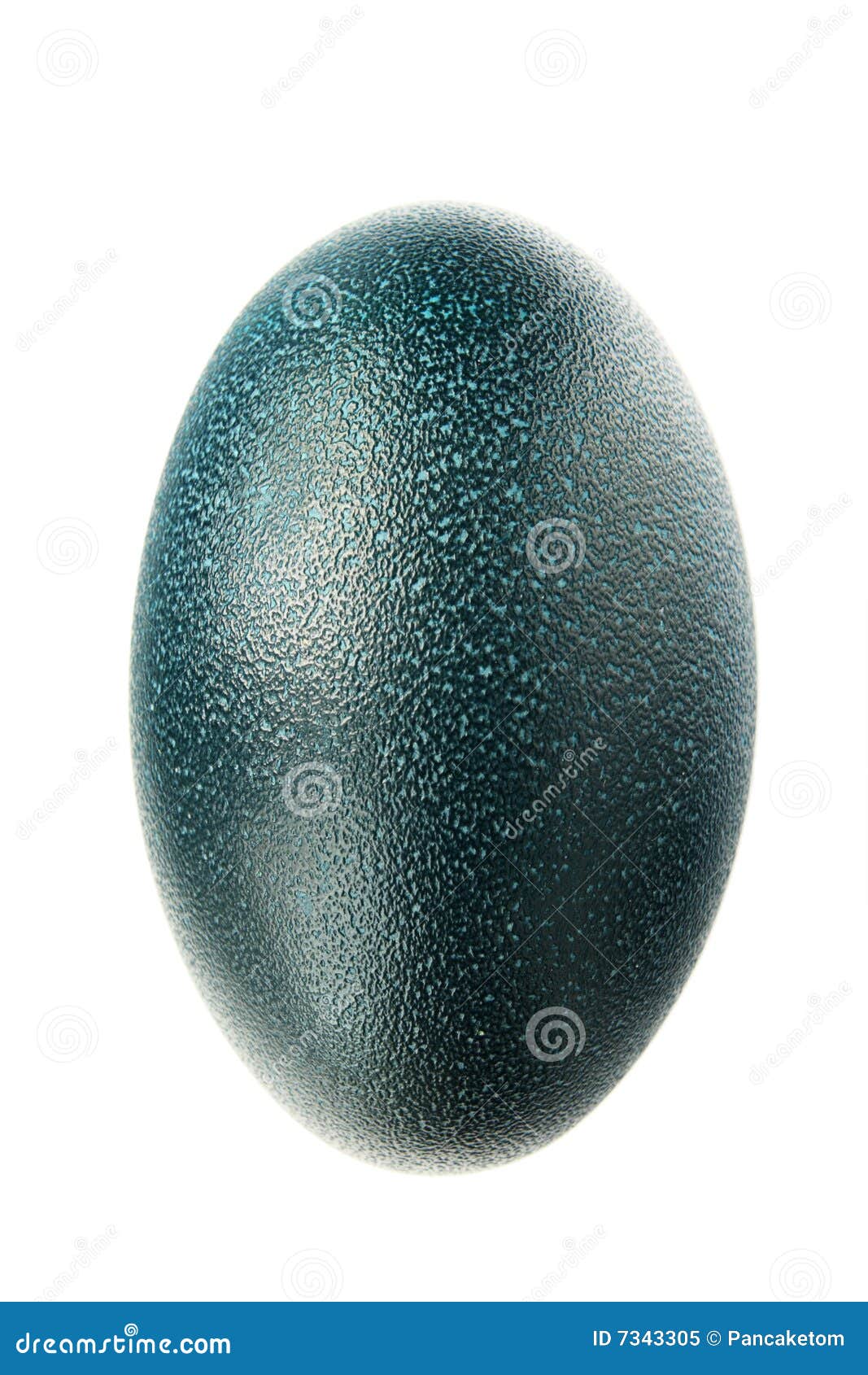 173 Emu Egg Photos - Free & Royalty-Free Stock Photos from Dreamstime