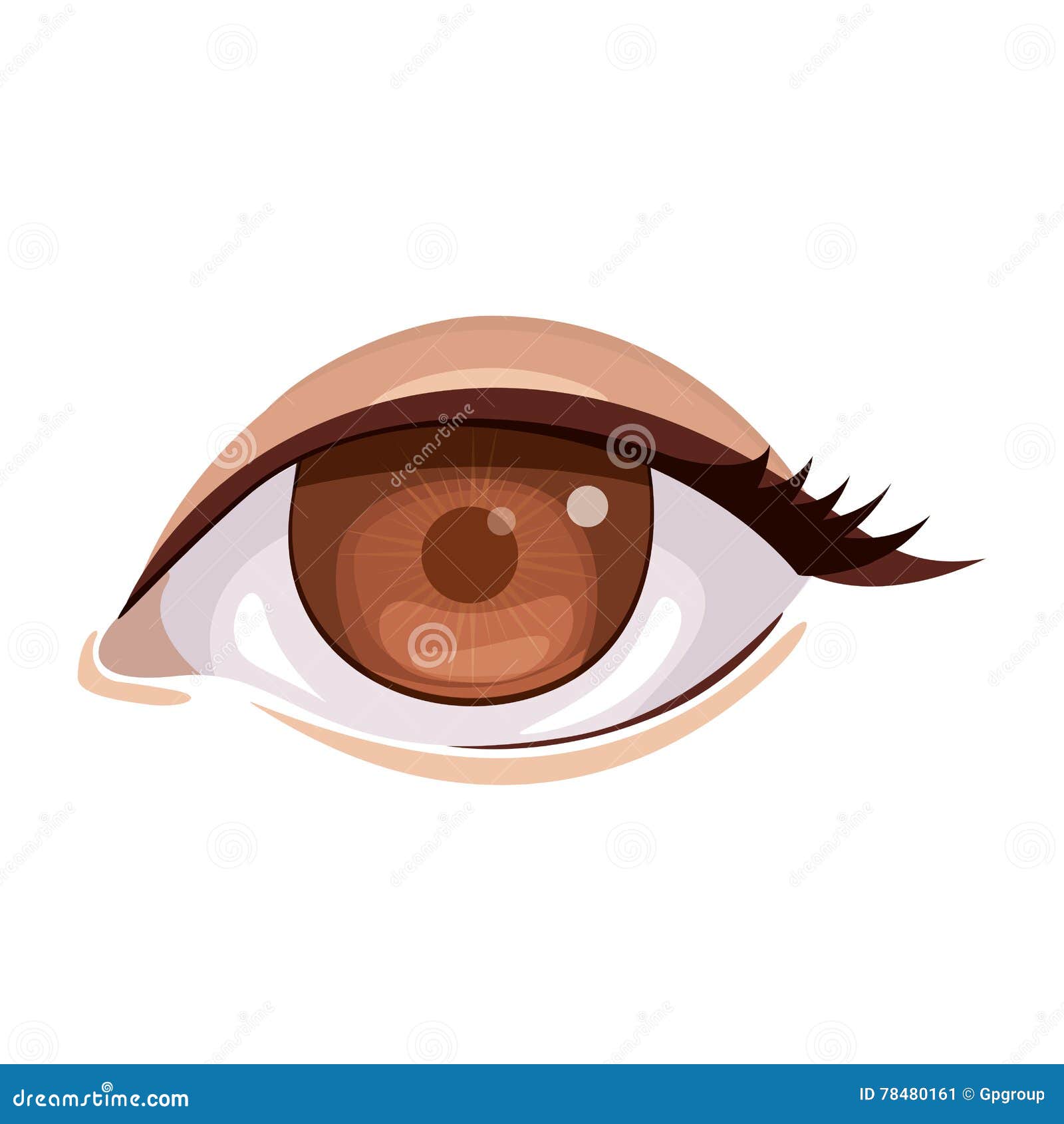 Isolated Eye and Look Concept Stock Vector - Illustration of medicine ...