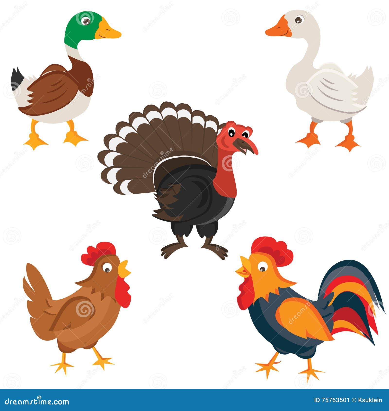 Isolated Farm Birds in Cartoon Style. Vector Illustration Stock Vector ...