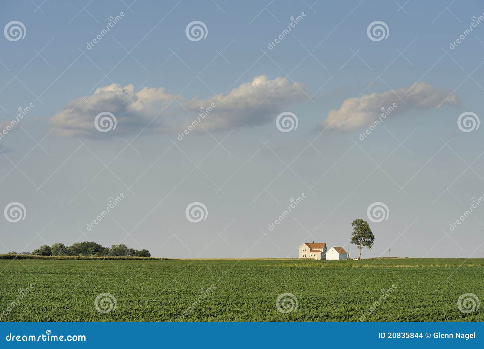 A Farm House On The Country Side. Road To A Farmhouse In A Dug-out Land ...
