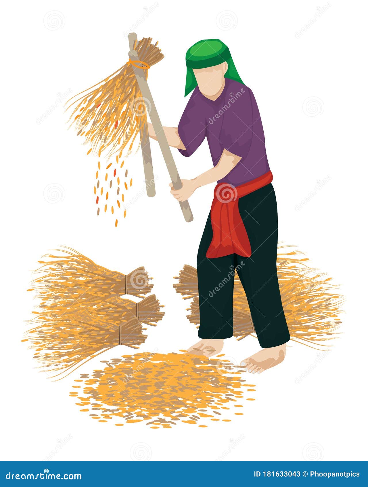 Isolated a Farmer Thrash Rice Stock Vector - Illustration of lash ...