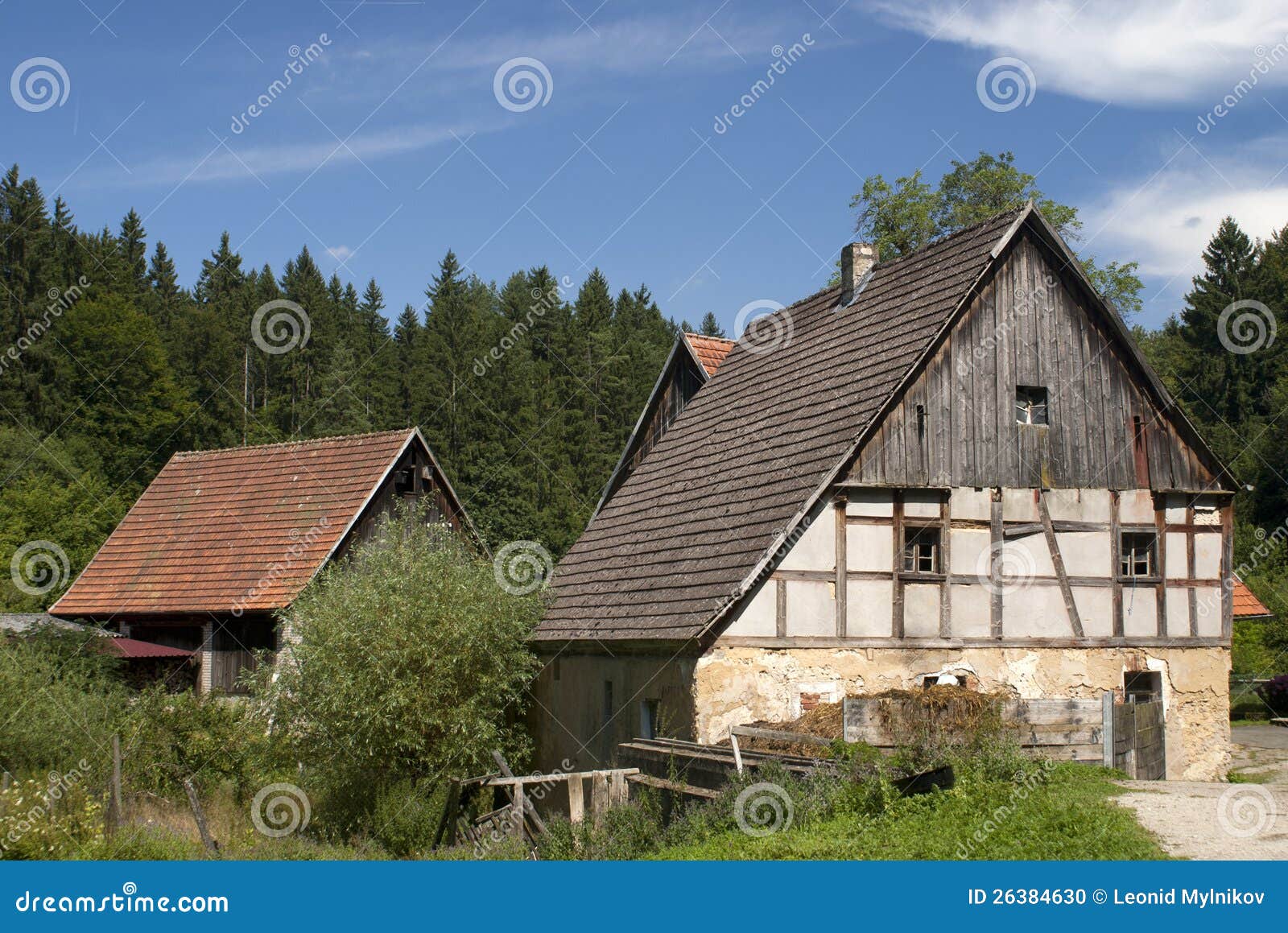 Isolated Farmstead in Forest Stock Photo - Image of derelict, green ...