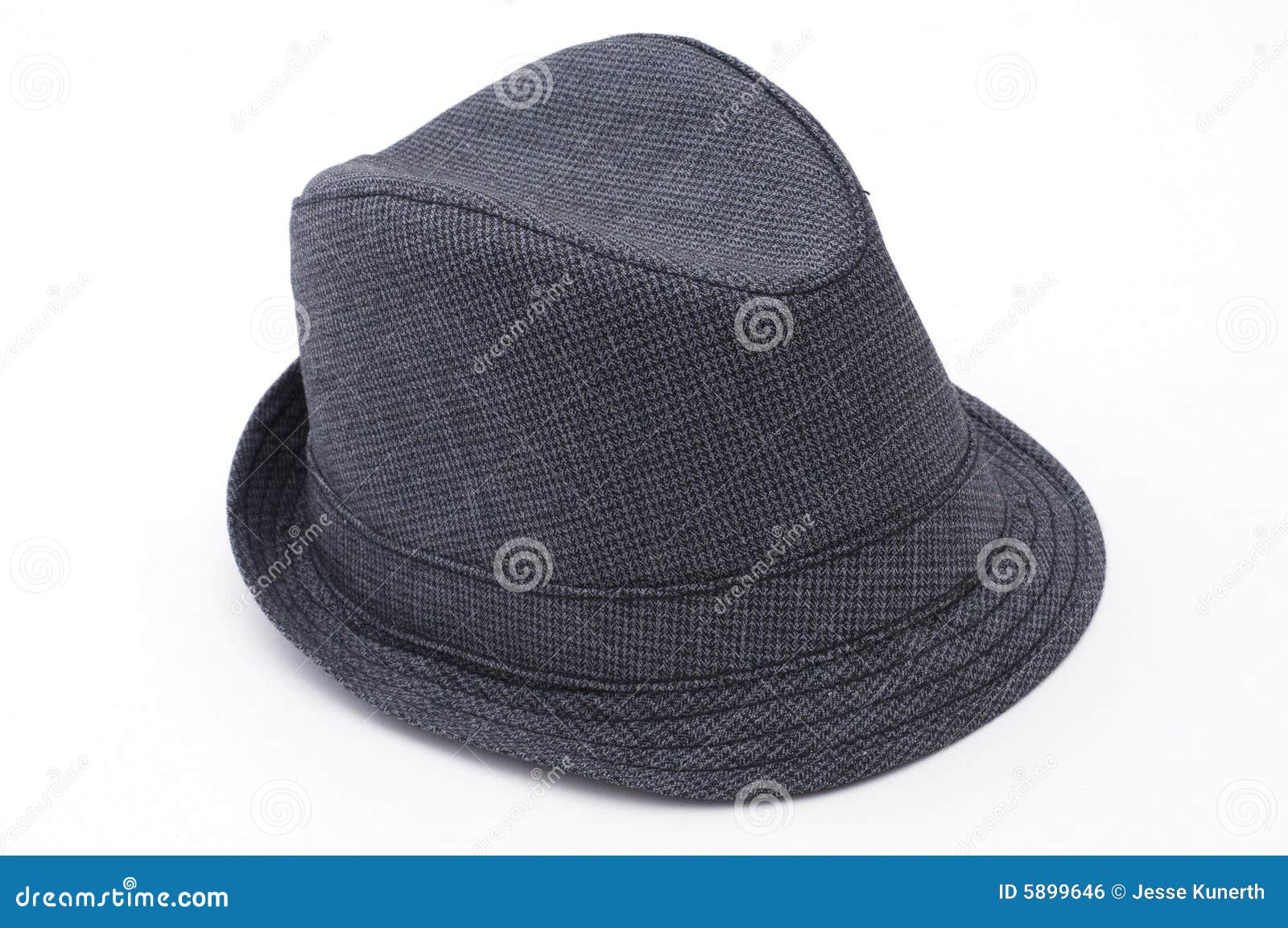 Isolated Fedora stock photo. Image of wear, head, cover - 5899646