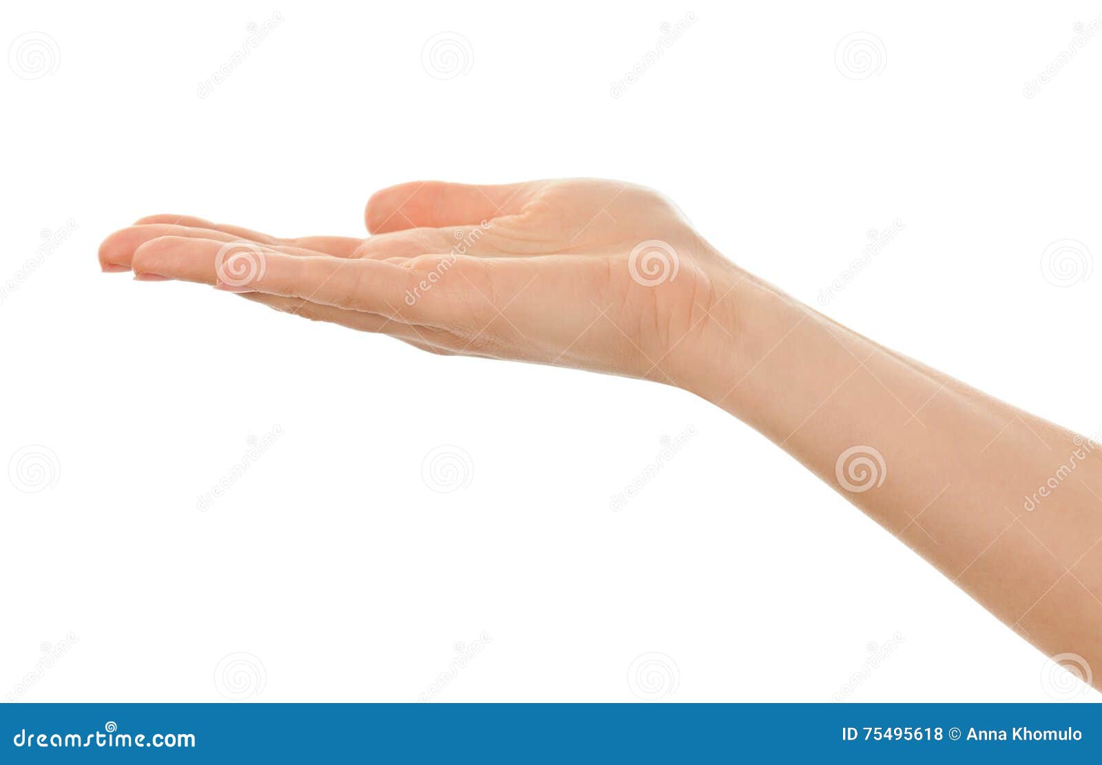 Isolated female hand stock photo. Image of presenting - 75495618