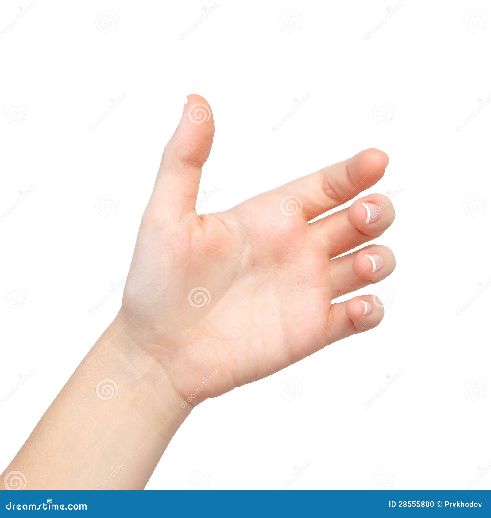 Isolated Female Hand Palms Held Subject Stock Photo - Image of isolated ...