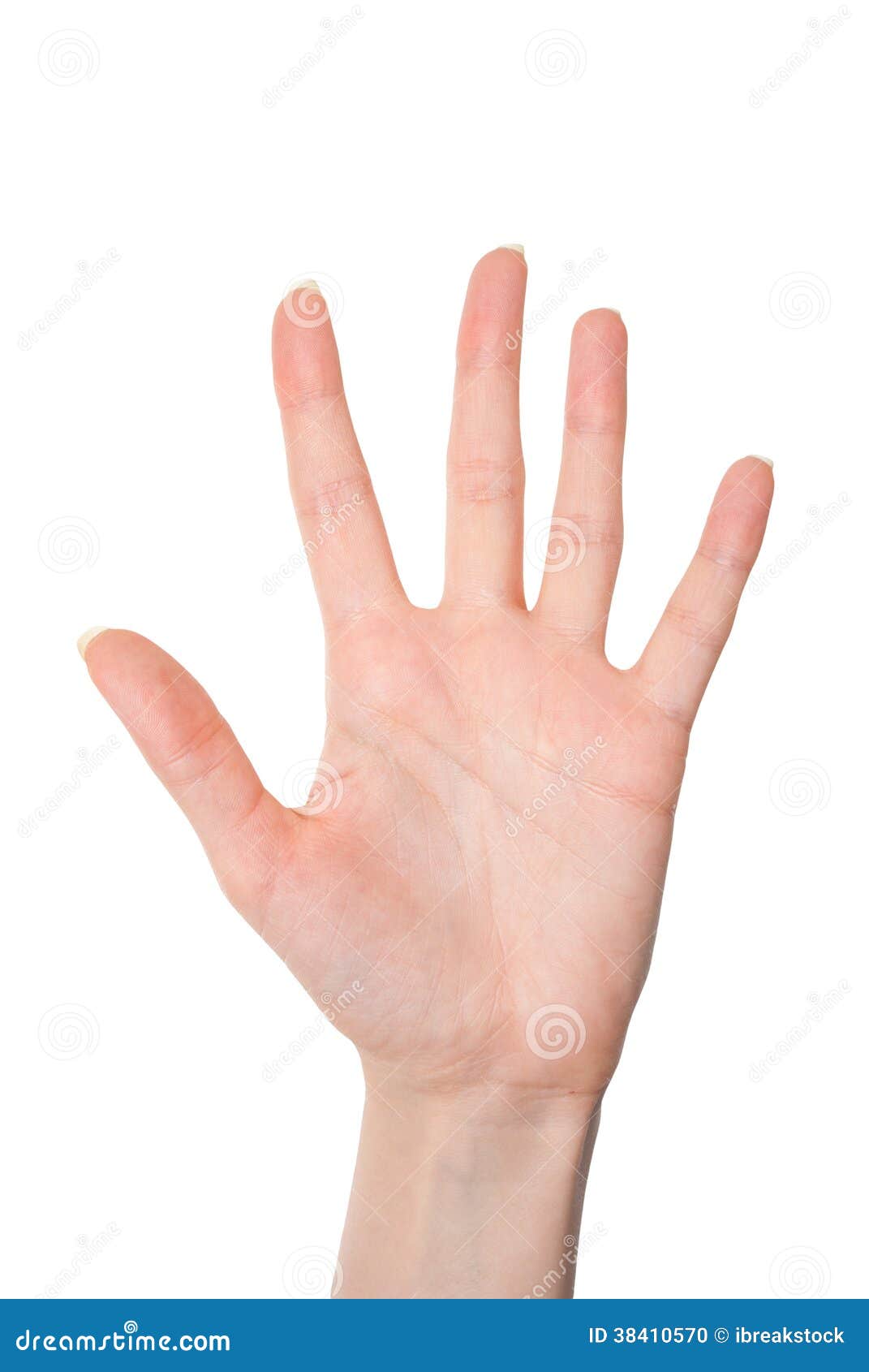 Isolated Female Hand Showing Number Five Stock Photo - Image of hands ...