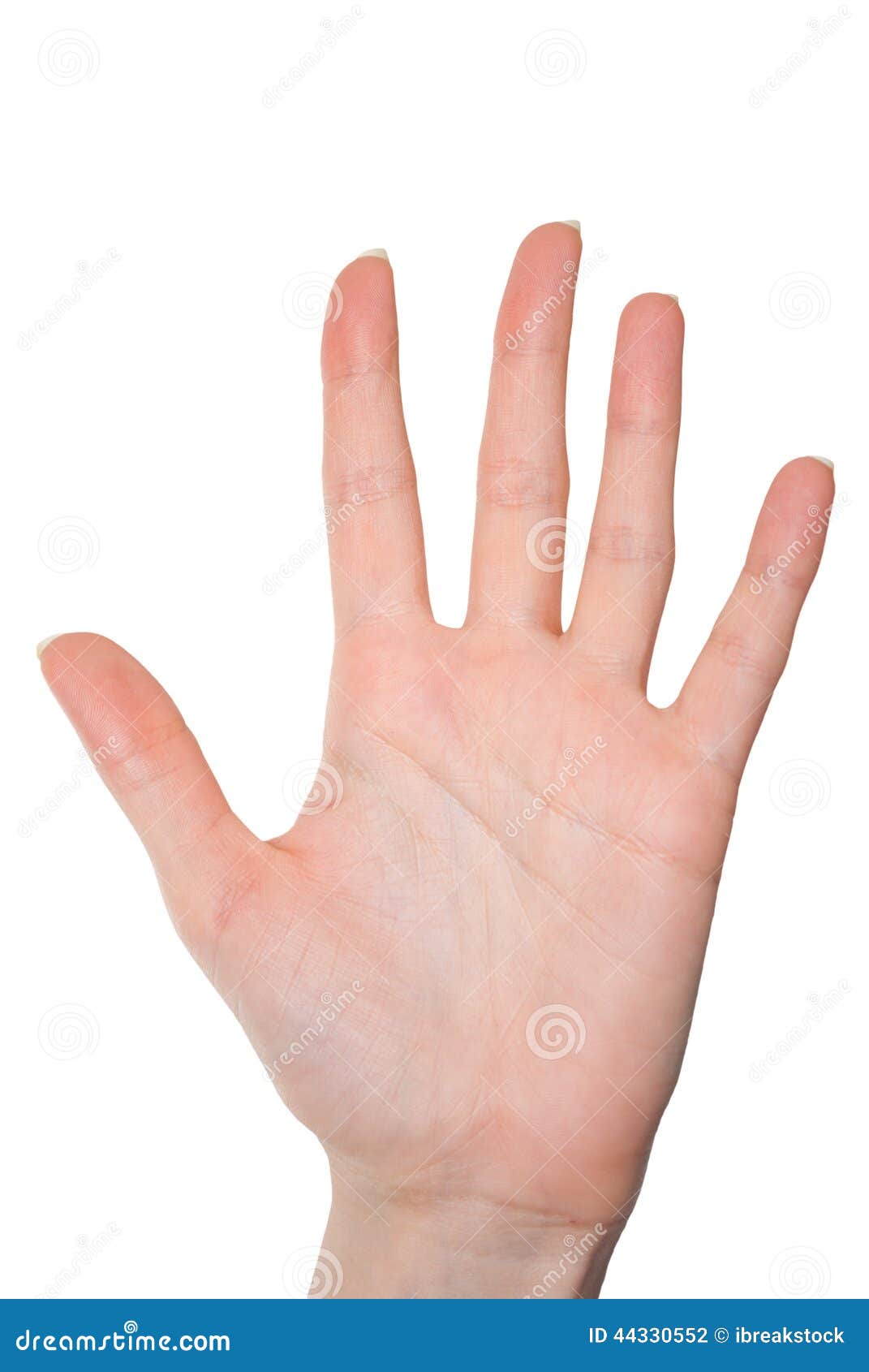 Isolated Female Hand Showing Number Five Stock Photo - Image of ...
