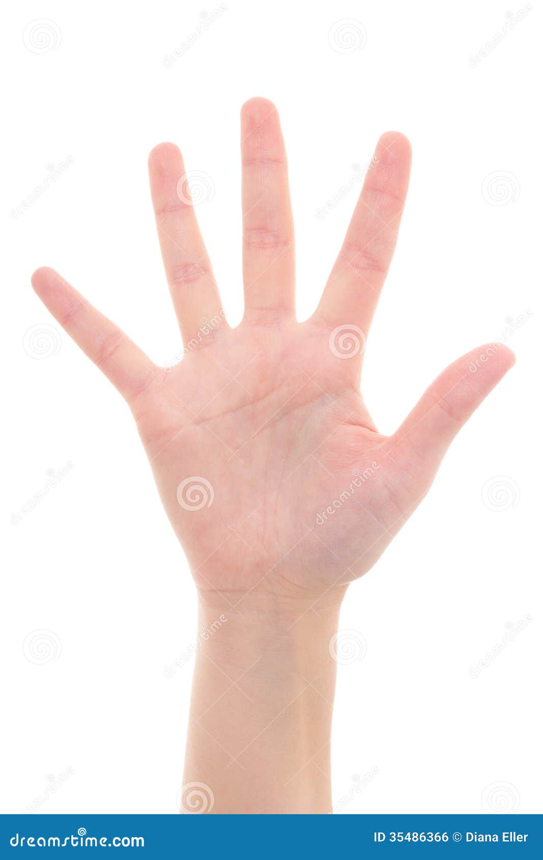 Isolated Female Hand Showing the Number Five Stock Photo - Image of ...