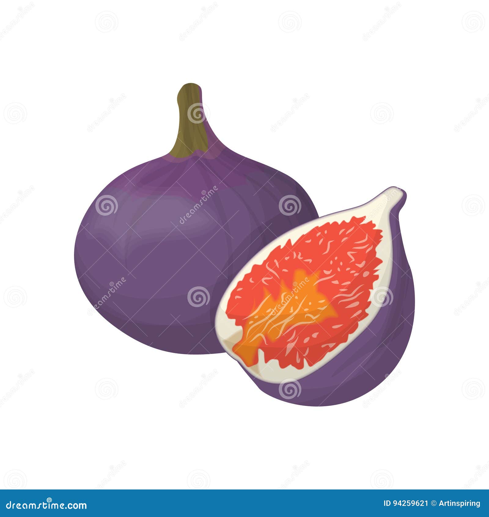 Isolated fig fruits. stock vector. Illustration of fruit - 94259621