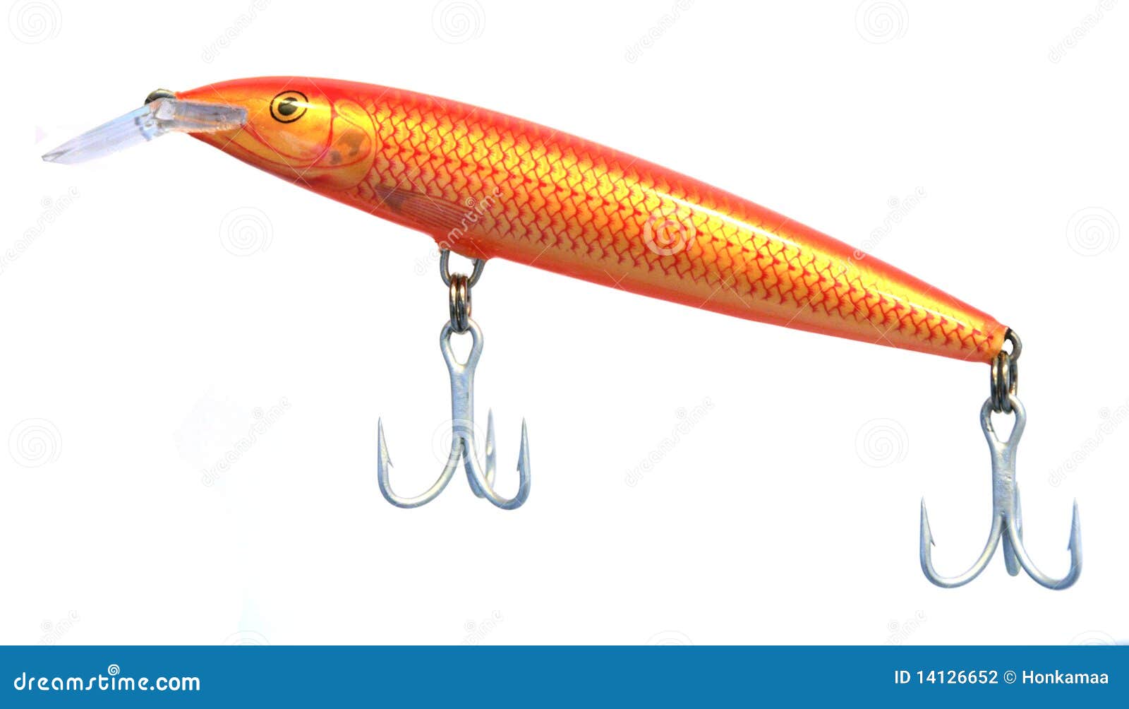 Fishing Lure Hanging From A Pine Tree Branch; Not Your Typical Pine ...