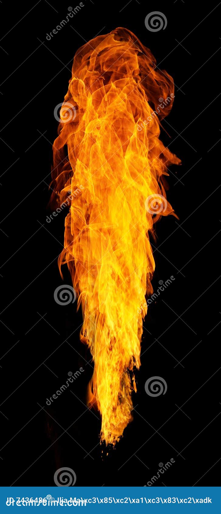 Isolated flames stock photo. Image of backdrop, eternity - 7436486