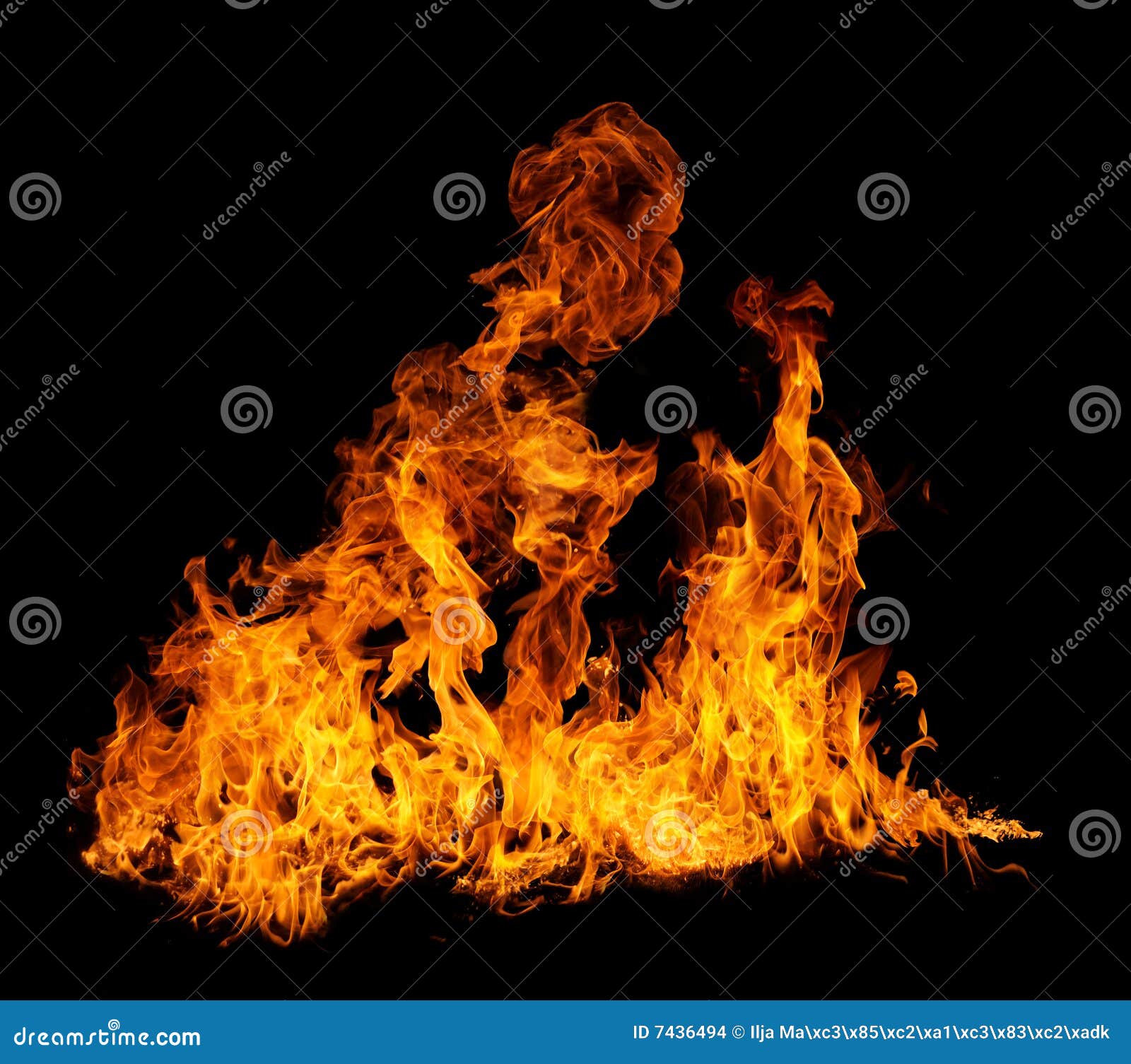 Isolated flames stock photo. Image of decorative, blazing - 7436494