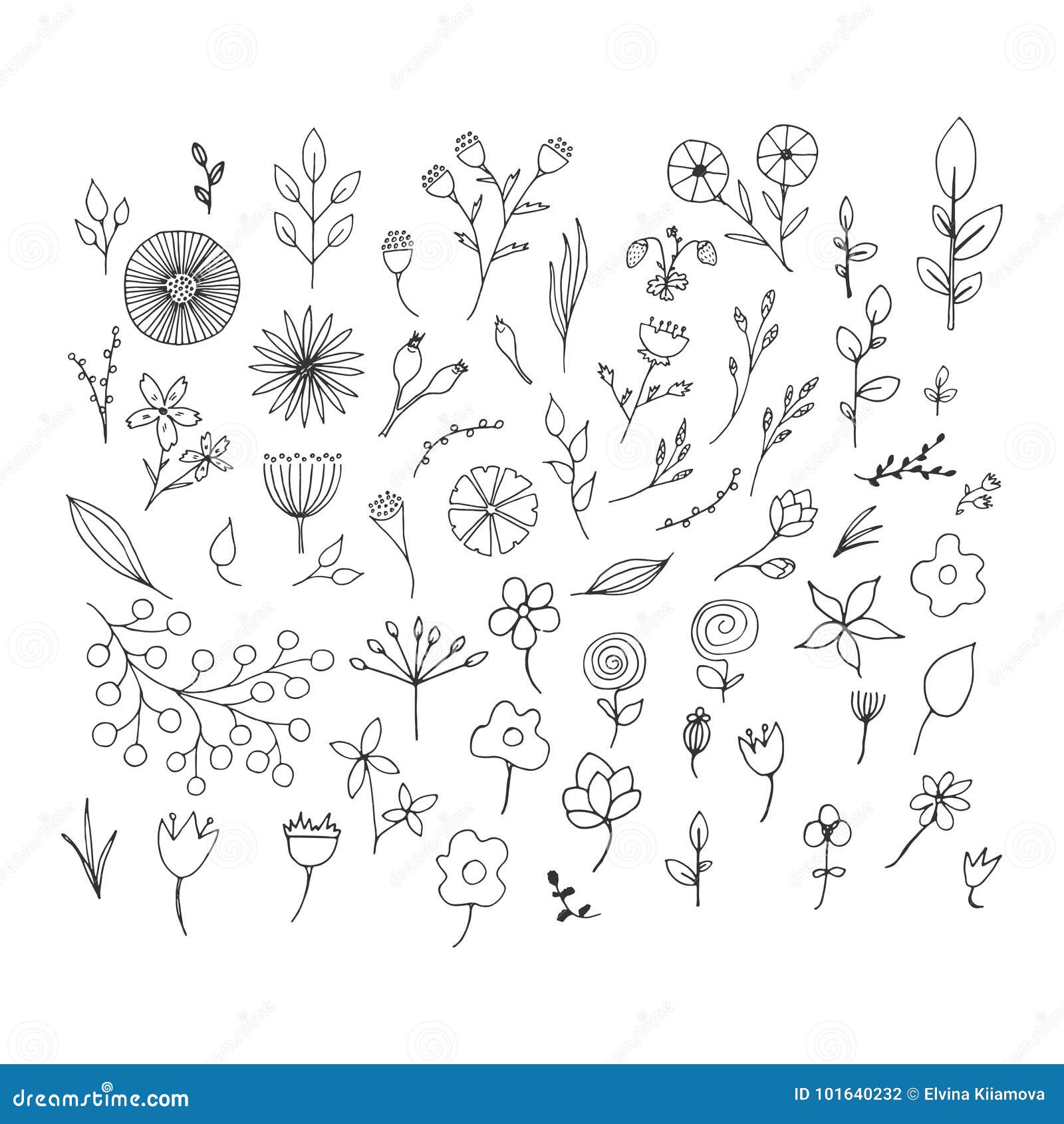 Isolated floral elements. stock illustration. Illustration of outline ...
