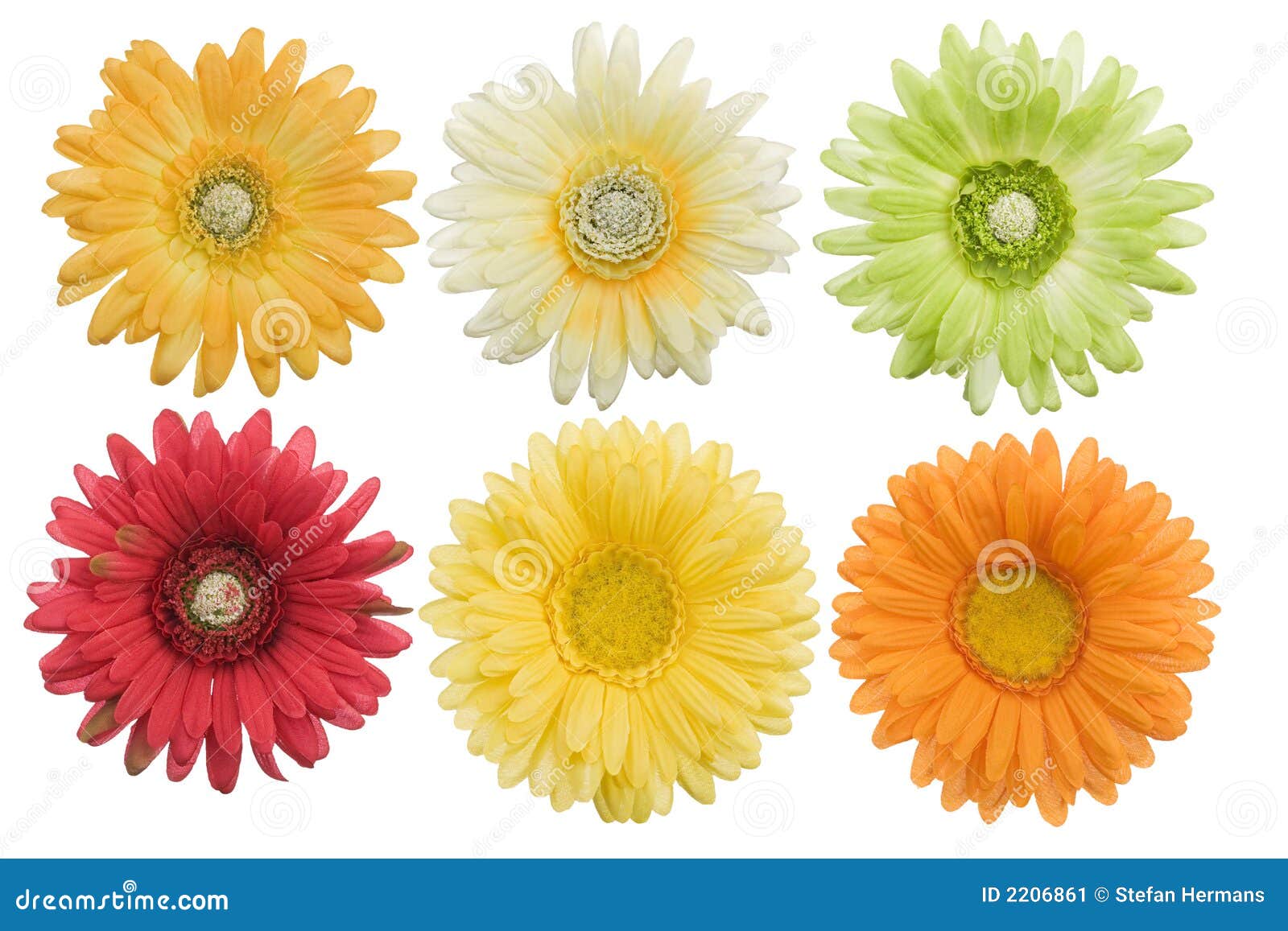 Isolated flowers stock illustration. Illustration of spring - 2206861