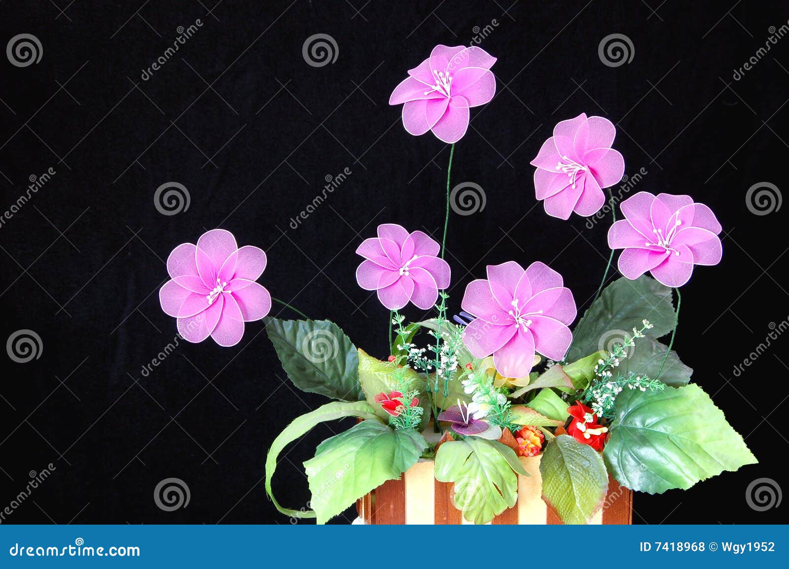 Isolated Flowers stock photo. Image of beauty, countertop - 7418968