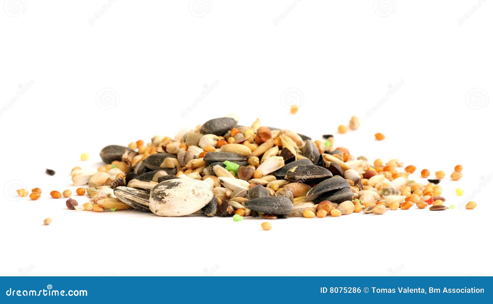 Isolated Fodder for Parrots Stock Photo - Image of hamster, maize: 8075286