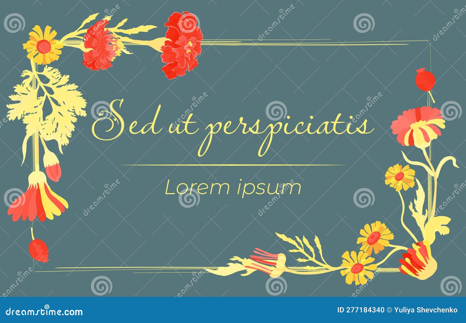 Isolated Frame with Hand Drawn Garden Flowers Stock Illustration ...