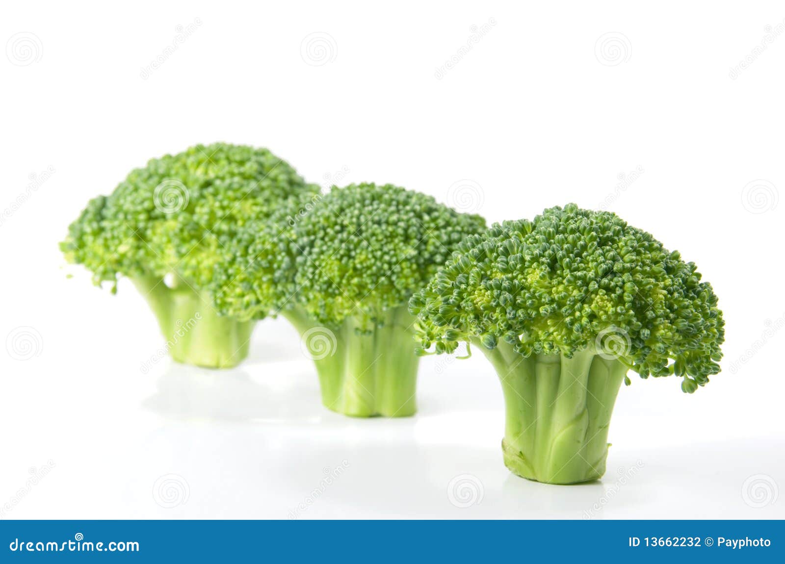 Isolated fresh broccoli stock photo. Image of grocery - 13662232