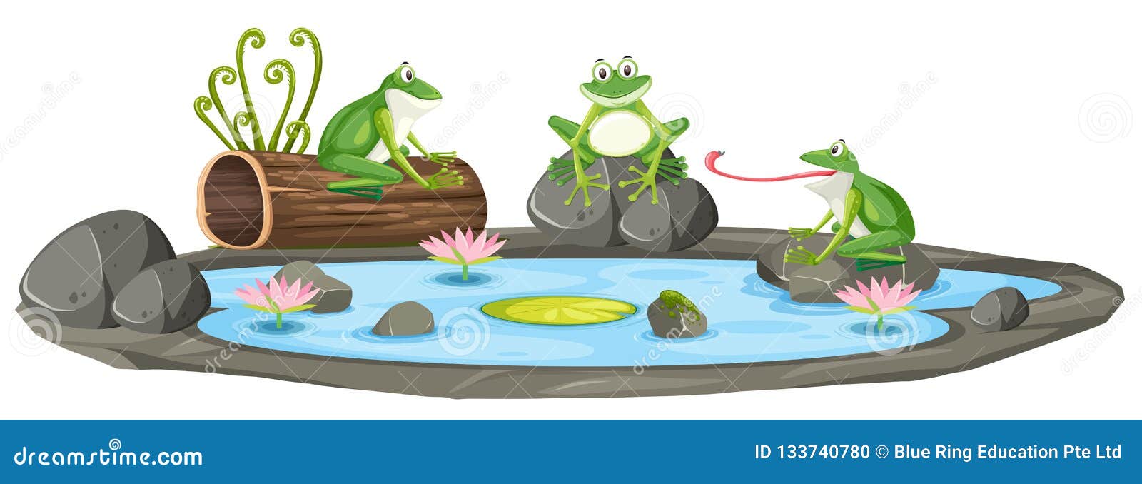 Frog On The Pond Cartoon Vector | CartoonDealer.com #72885507 Frog On The Pond Cartoon Vector | CartoonDealer.com #72885507