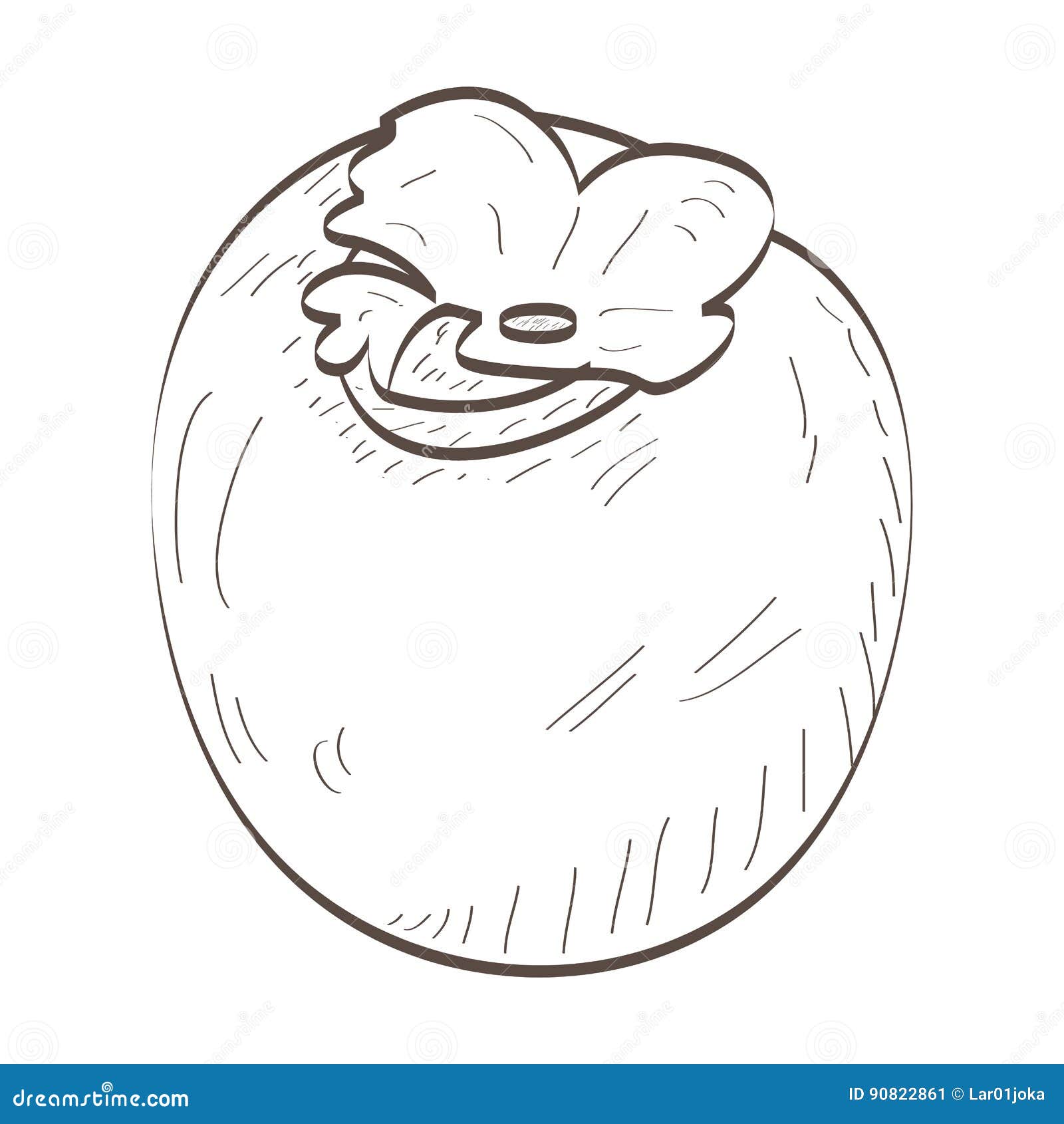 Isolated fruit outline stock vector. Illustration of ripe - 90822861