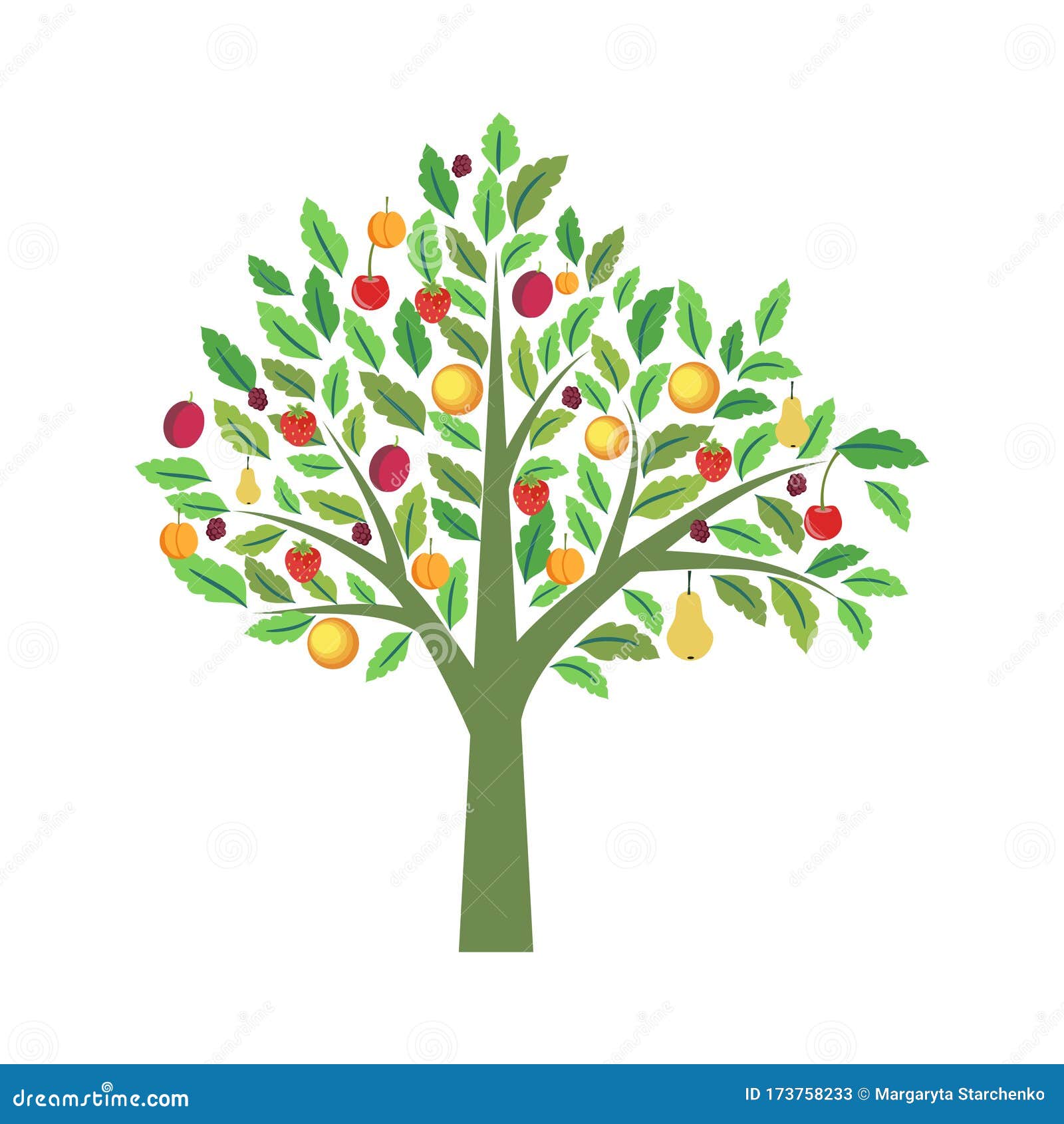 Isolated fruit tree stock vector. Illustration of pear - 173758233