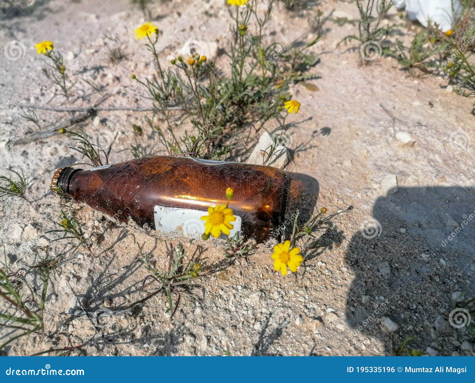 An Isolated Garbage Glass Bottle Buried in Desert Stock Photo - Image ...