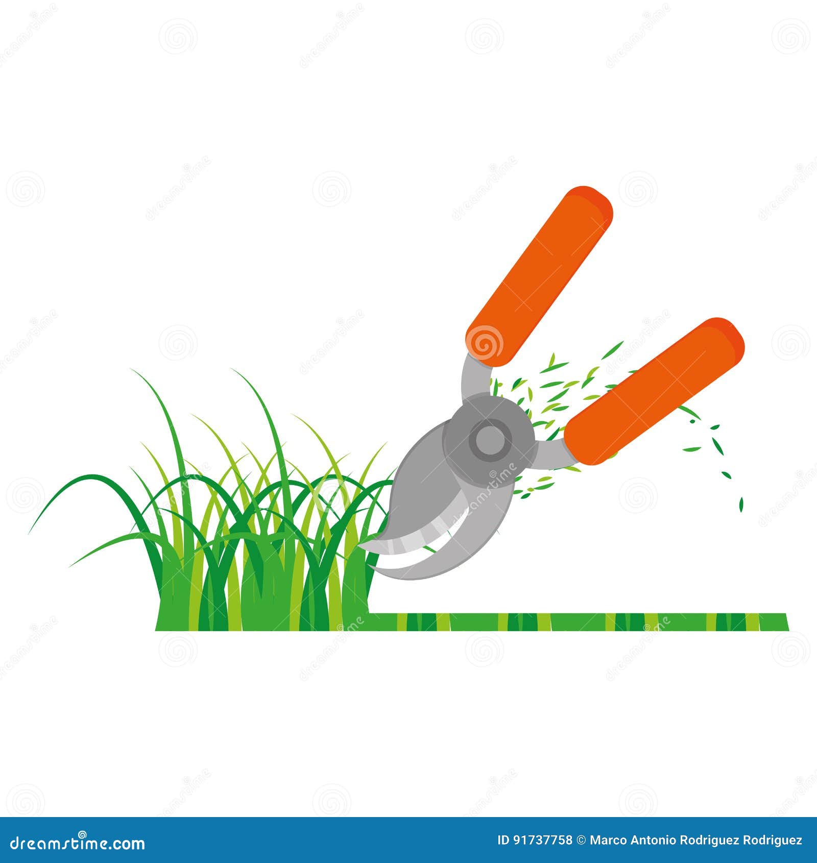 Isolated garden scissors stock illustration. Illustration of lawn ...