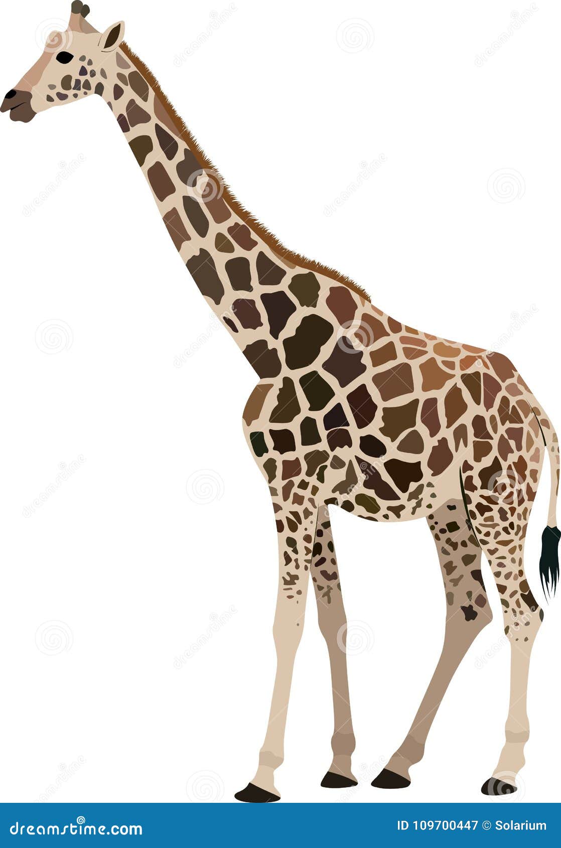 Giraffe stock vector. Illustration of vector, mammal - 109700447