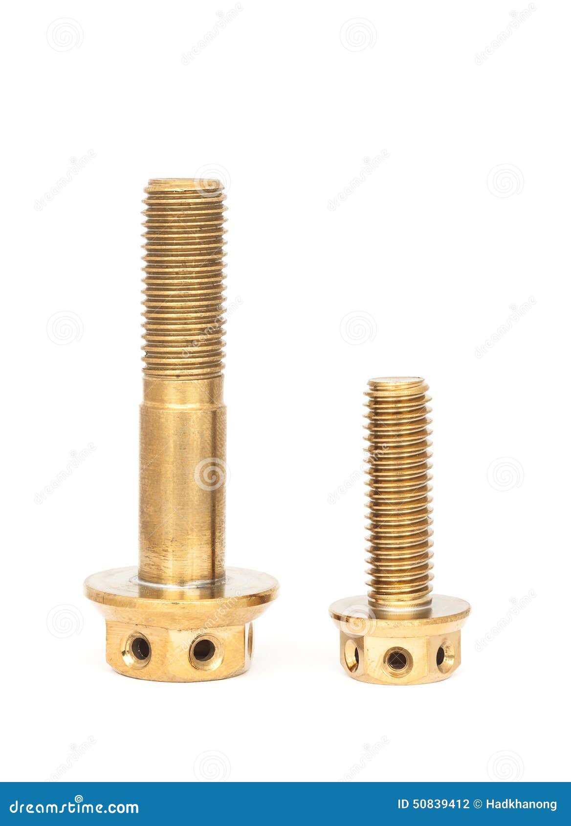 Isolated gold nut on white stock photo. Image of object - 50839412