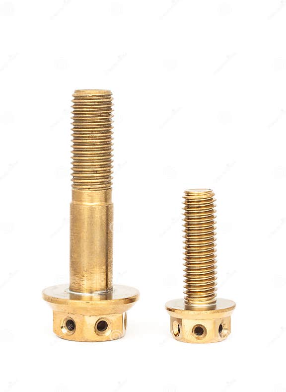 Isolated gold nut on white stock photo. Image of object - 50839412