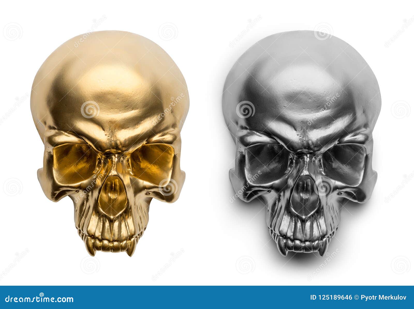 Isolated Gold and Silver Skull on White Background Stock Photo - Image ...
