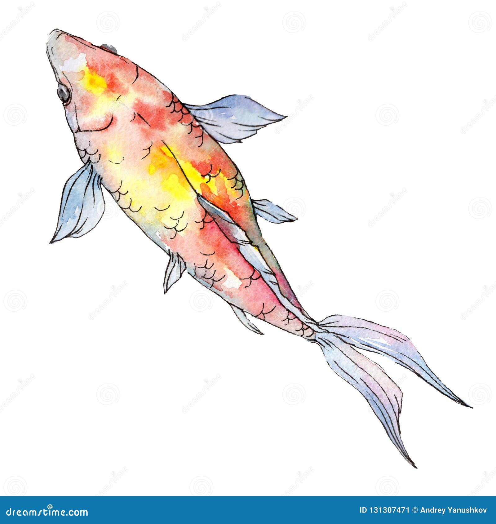 Isolated Goldfish Illustration Element. Watercolor Set. Aquarelle ...