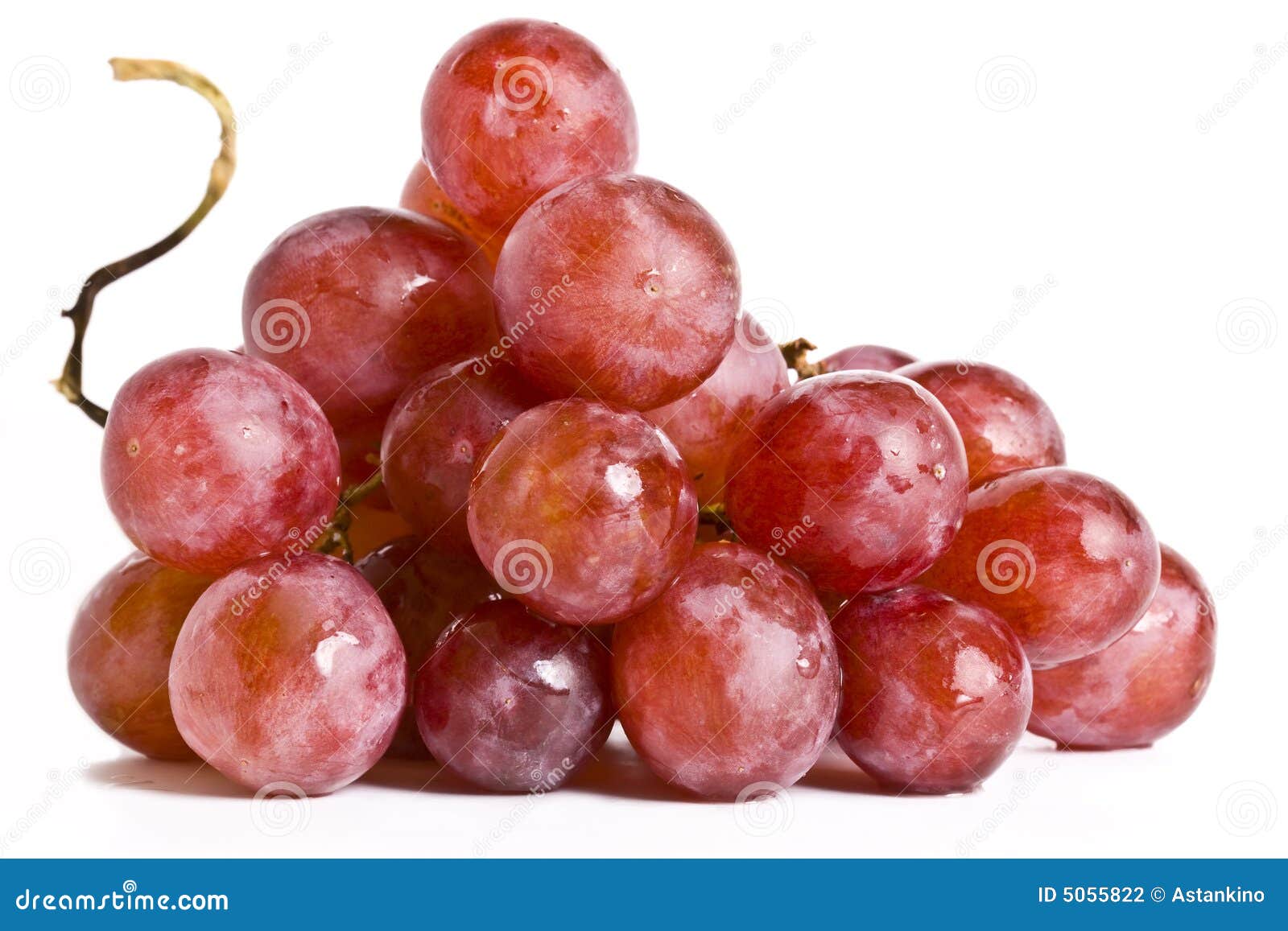 Isolated grape stock photo. Image of nature, macro, beautiful - 5055822