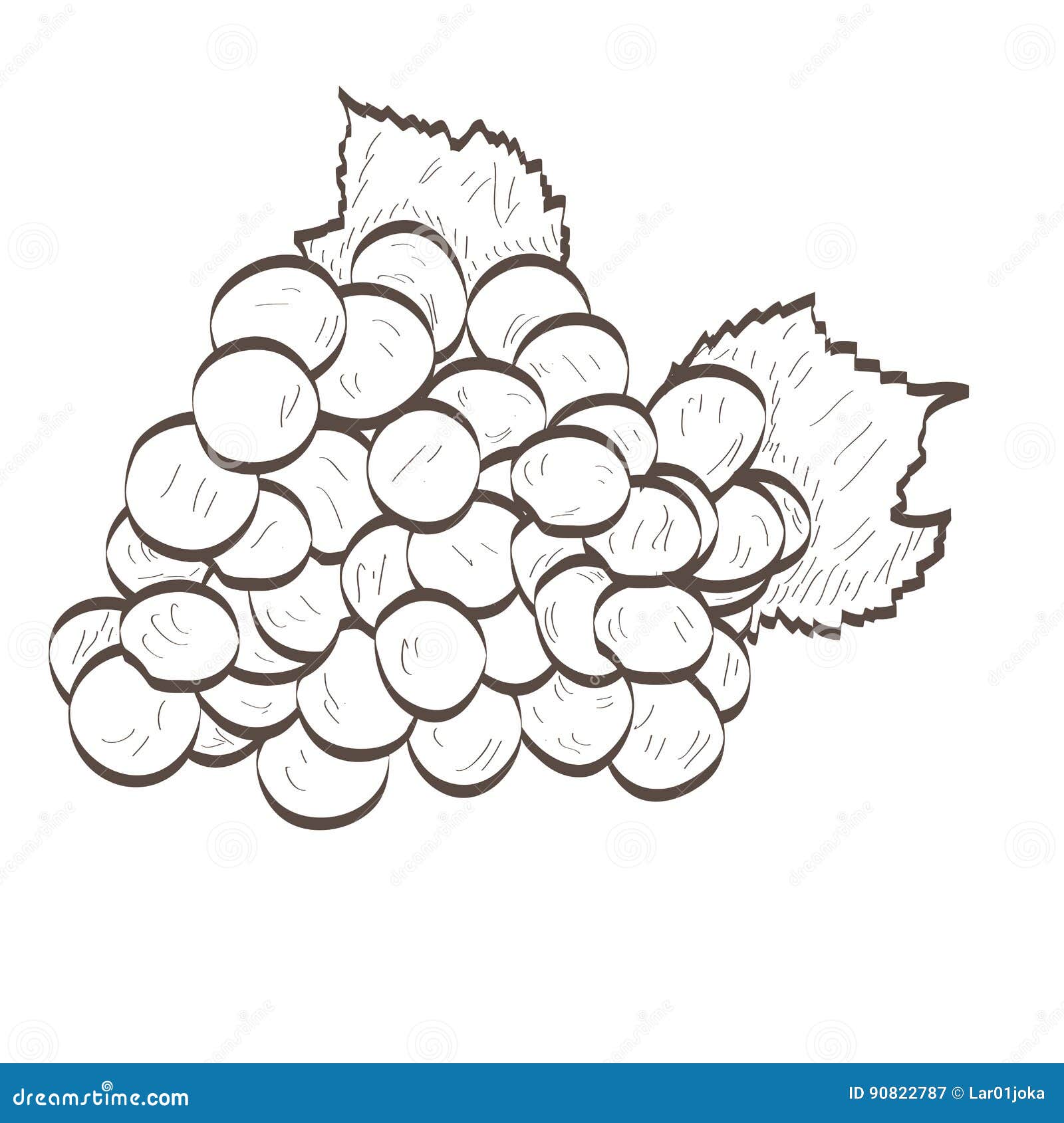 Isolated grapes outline stock vector. Illustration of healthy - 90822787