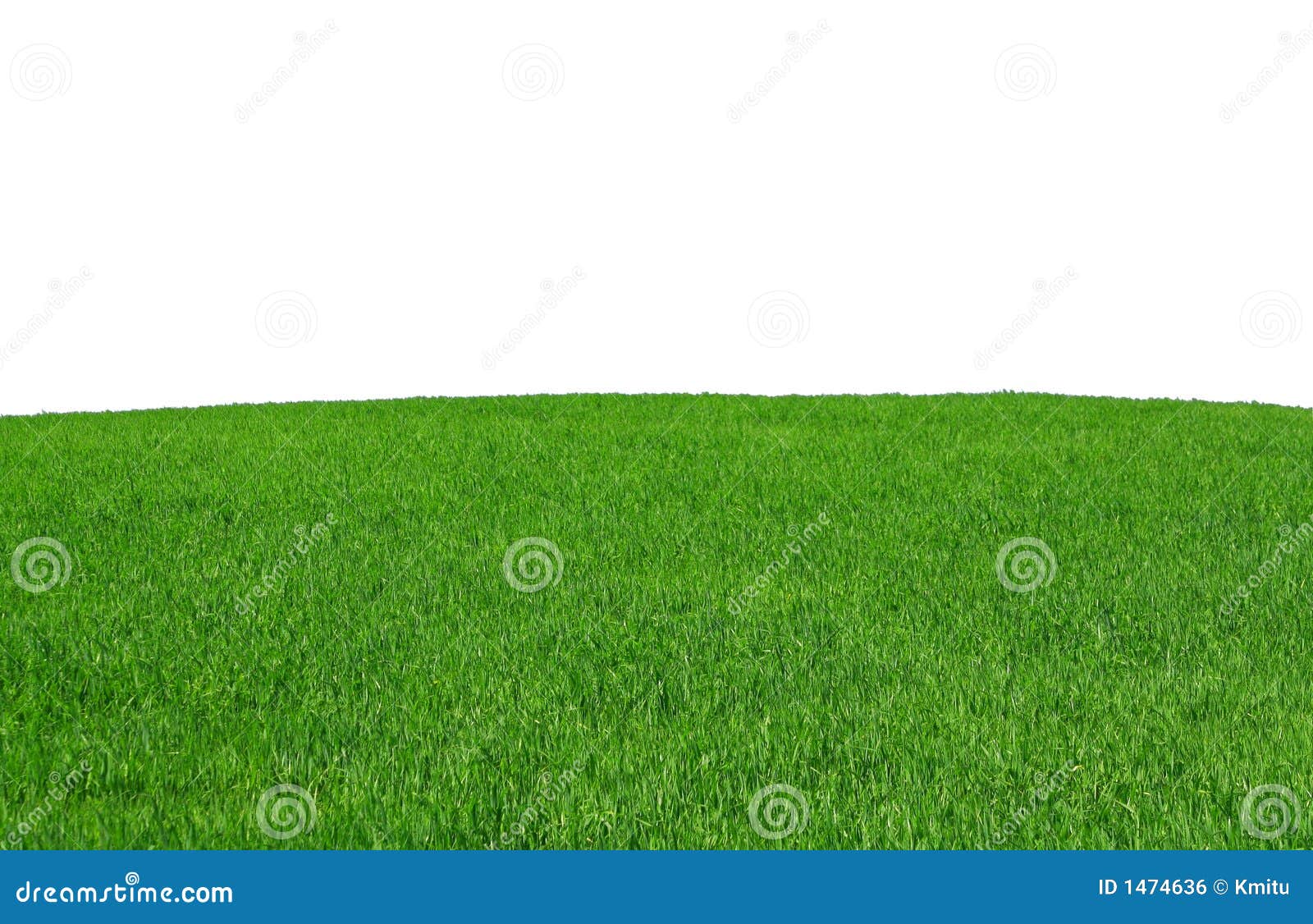 Isolated grass field stock photo. Image of golf, lawn - 1474636