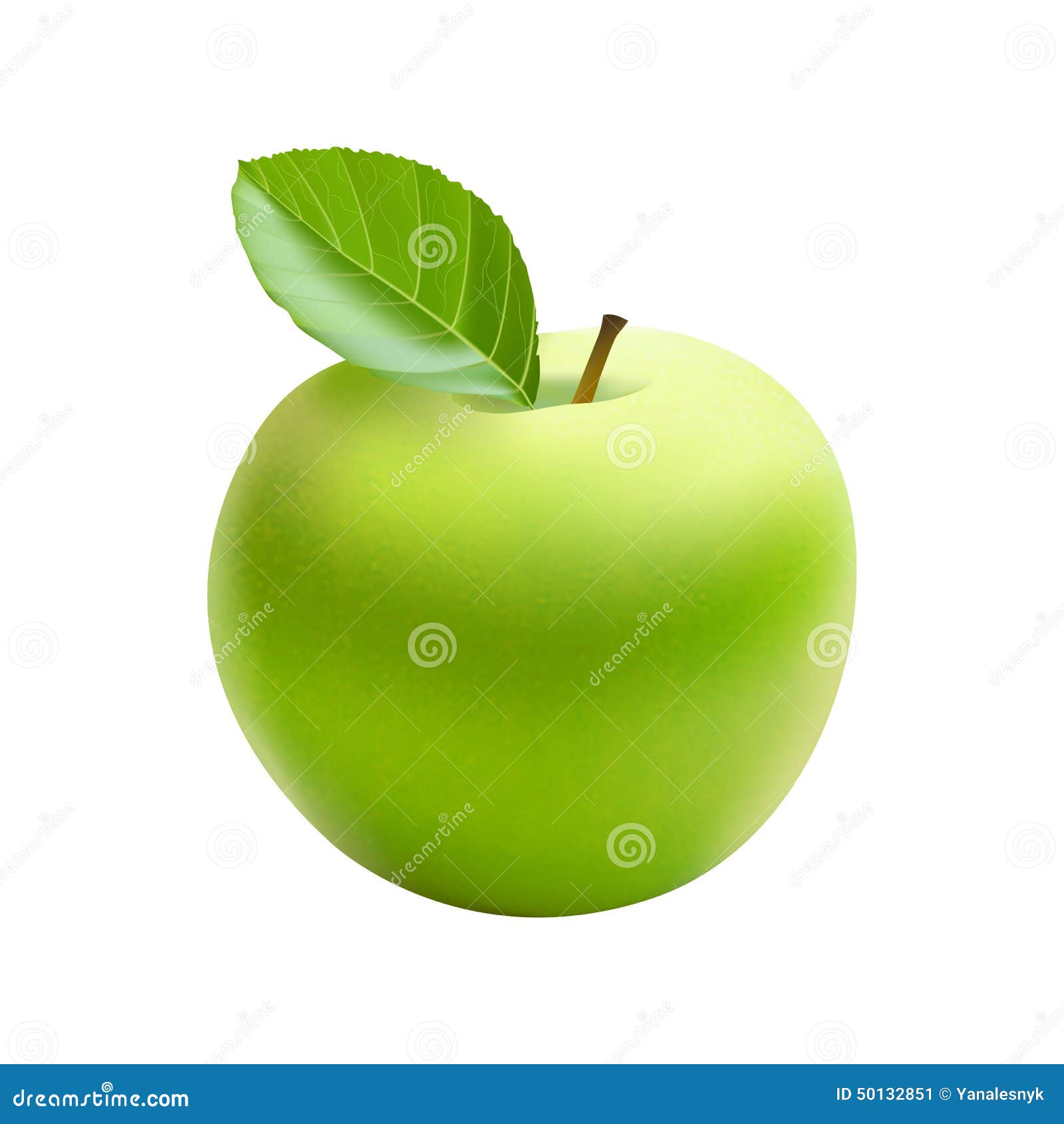 Isolated Green Apple with Leaf, Vector Stock Illustration ...