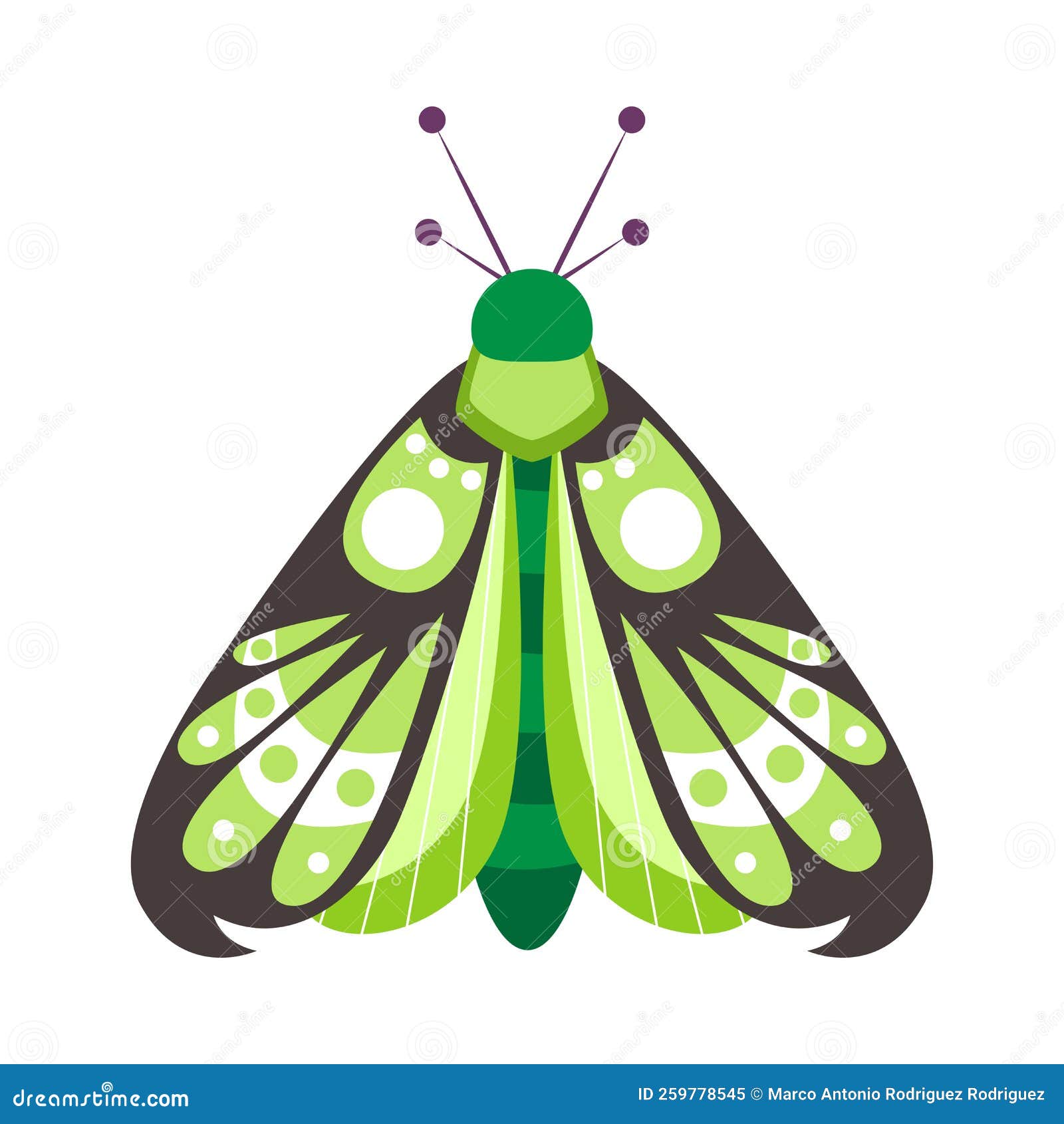 Isolated Green Butterfly Vector Illustration Stock Vector ...
